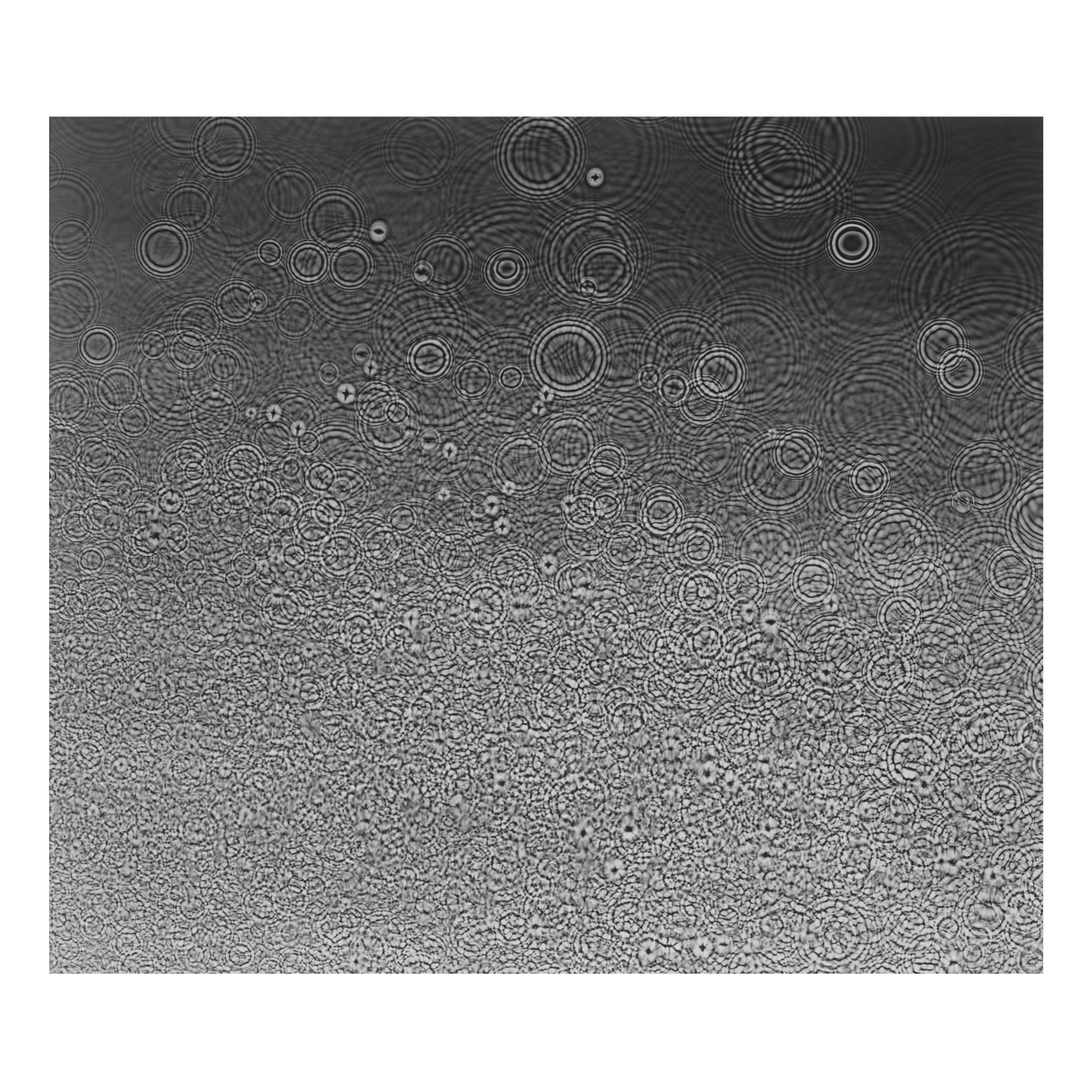 ADAM FUSS | UNTITLED | Contemporary Photographs | Photographs | Sotheby's