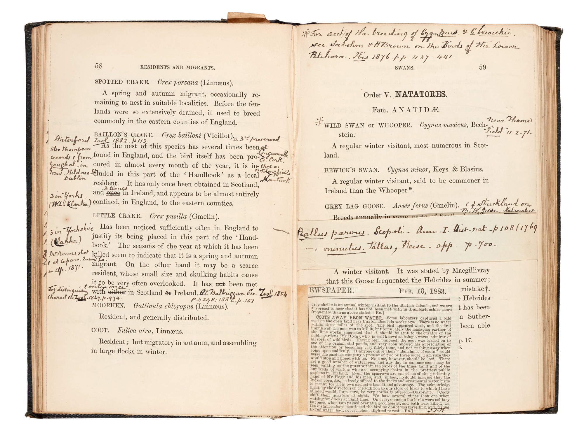 James Edmund Harting | A handbook of British birds, 2 editions and ...