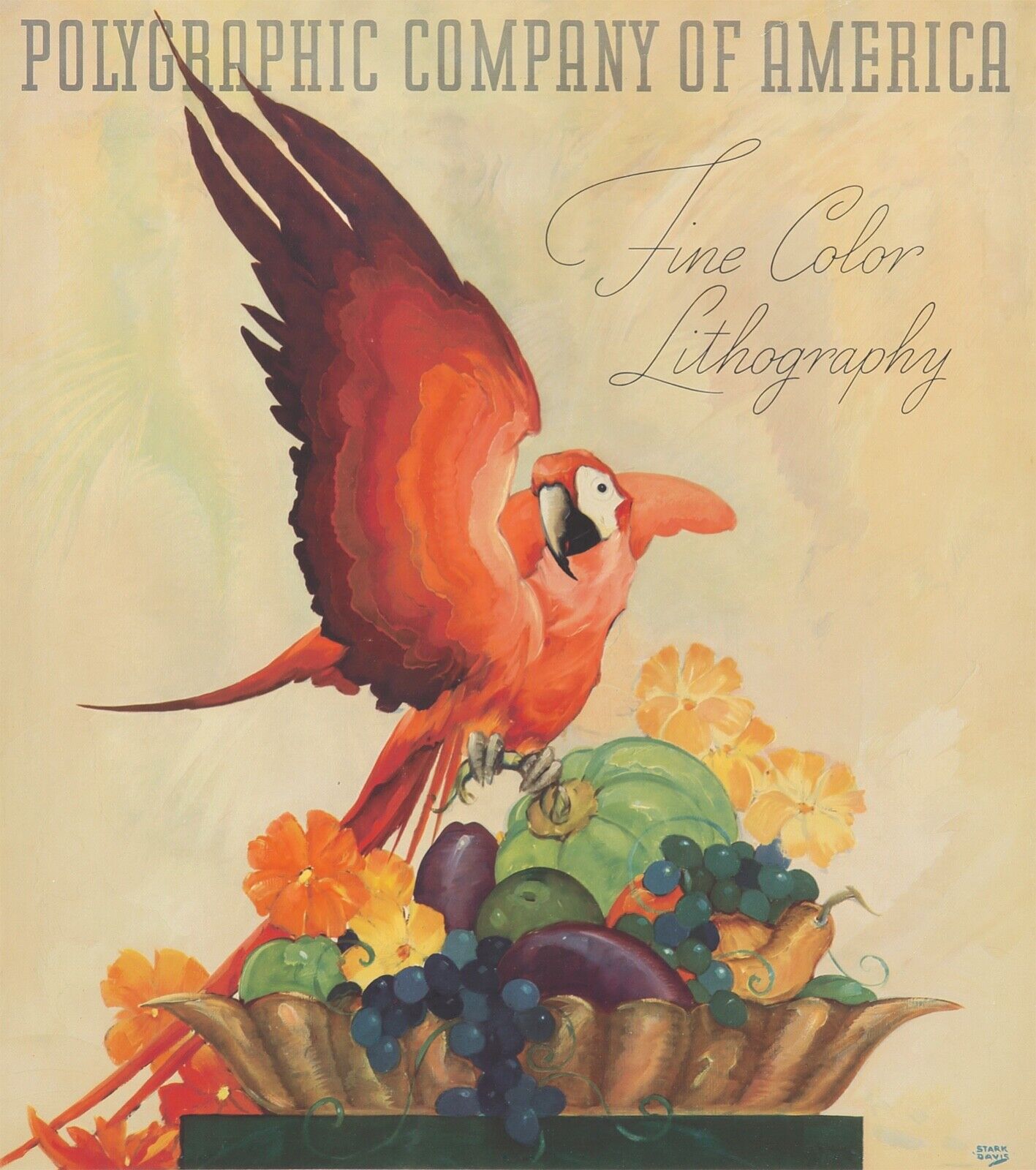 Vintage Polygraphic Company Of America Parrot Poster Available For ...