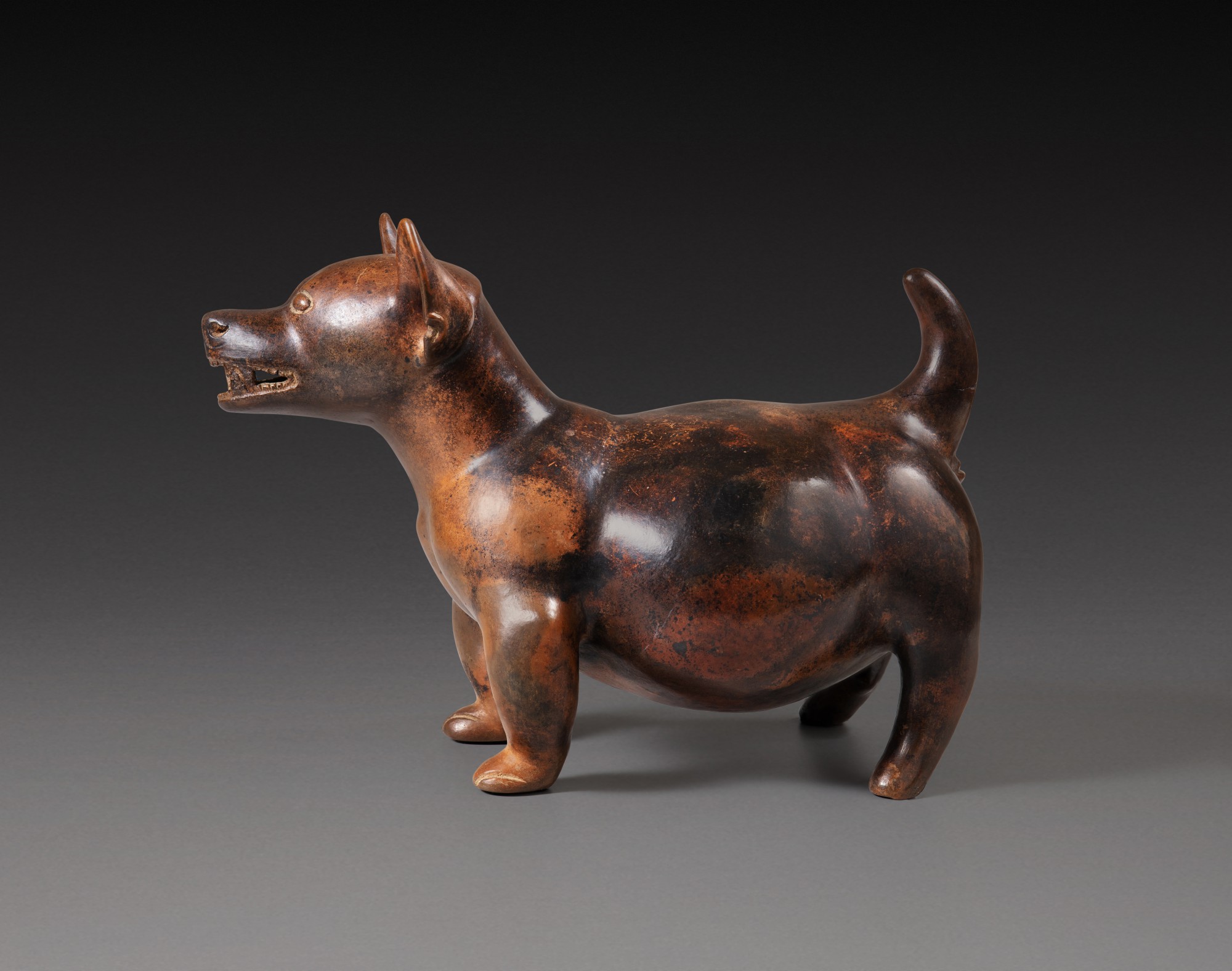 Colima standing Dog Figure, Mexico, Protoclassic, ca. 100 BC-AD 250 ...