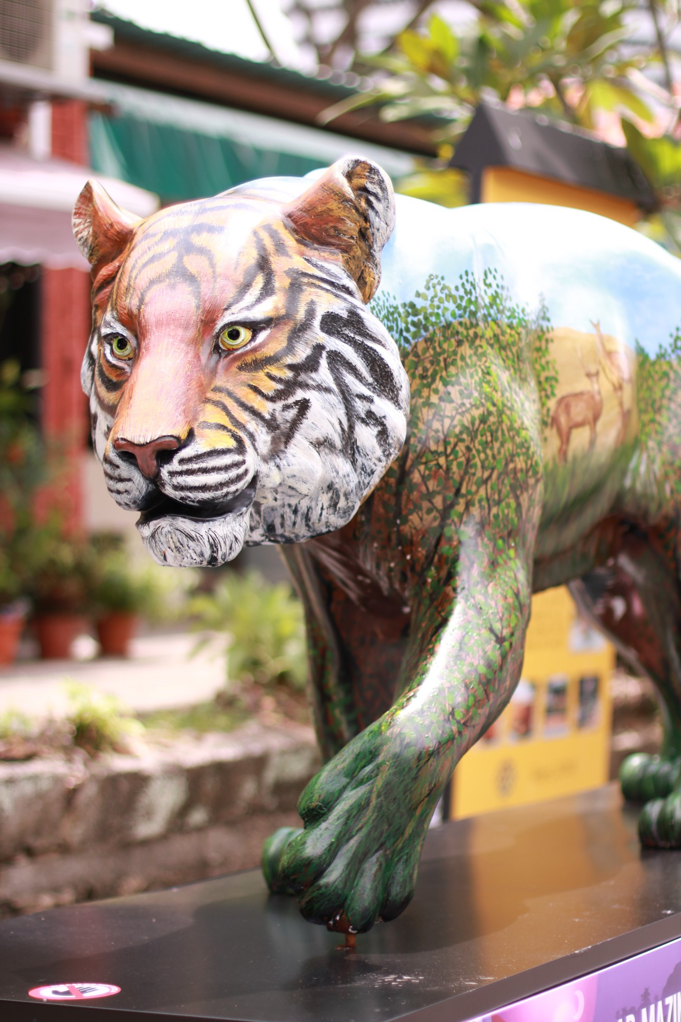 Putu Sutawijaya 普圖·蘇塔維賈亞 | Wilderness 荒野 | WWF Tiger Trail 2022 | 2022 ...