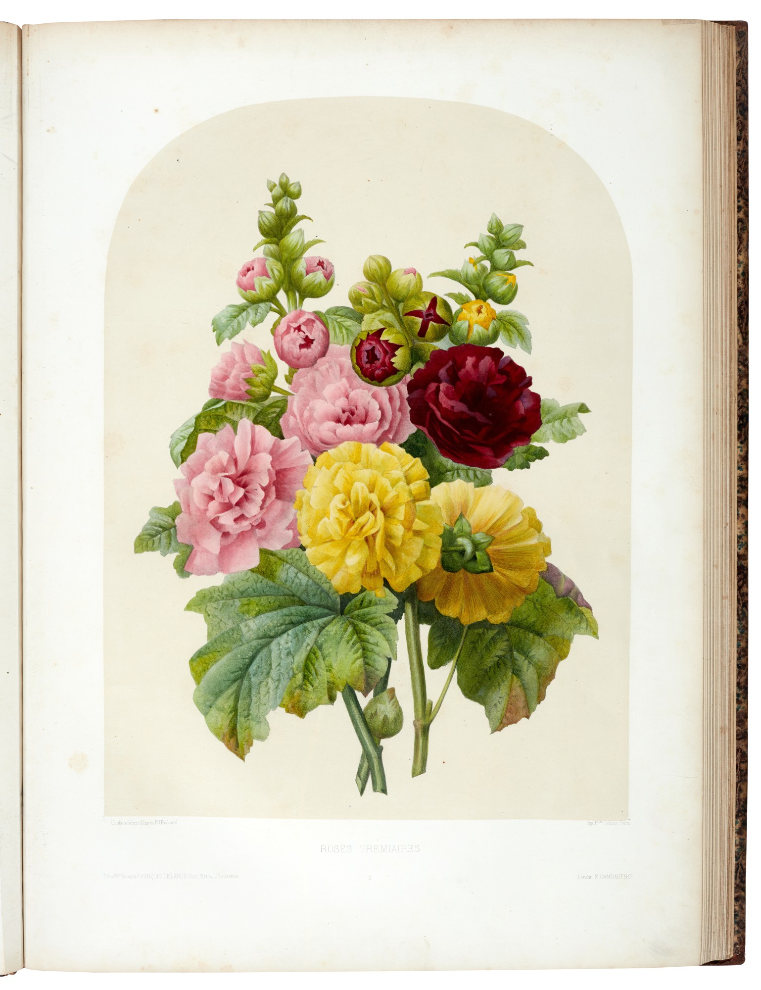 Pierre Joseph Redouté | Collection de beaux bouquets, circa 1850-1855 ...