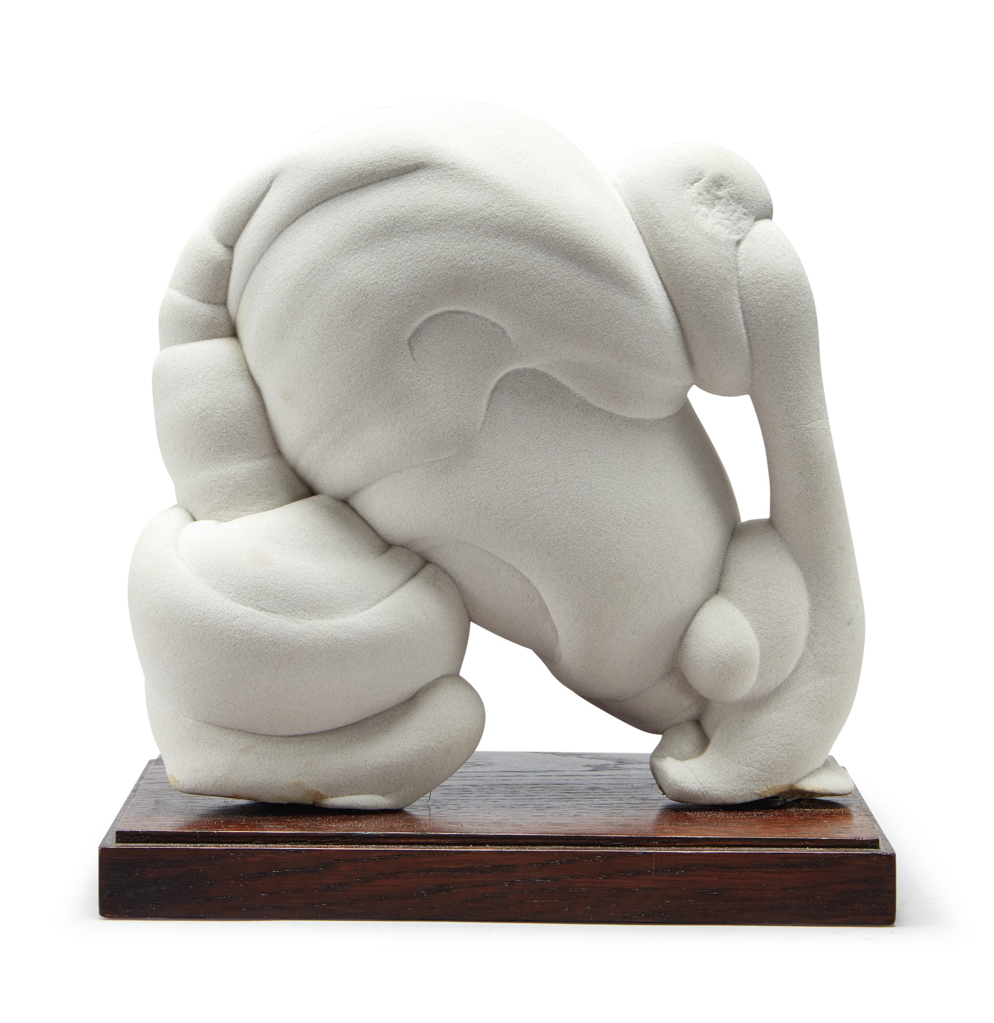 "EL CONDOR" GOGOTTE FORMATION | Natural History; Including Fossils ...