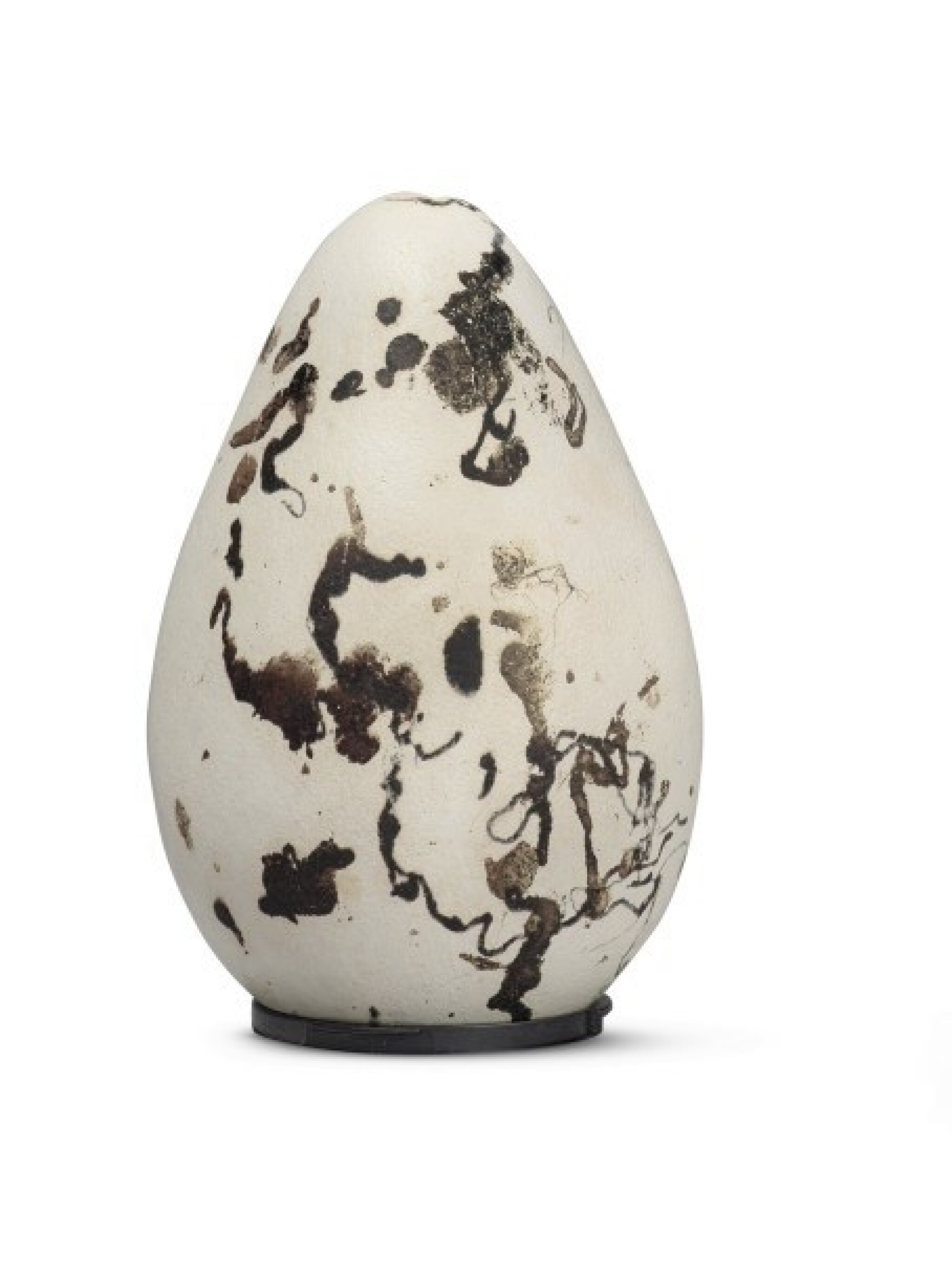 An Egg Of The Extinct Great Auk Natural History 2021 Sothebys