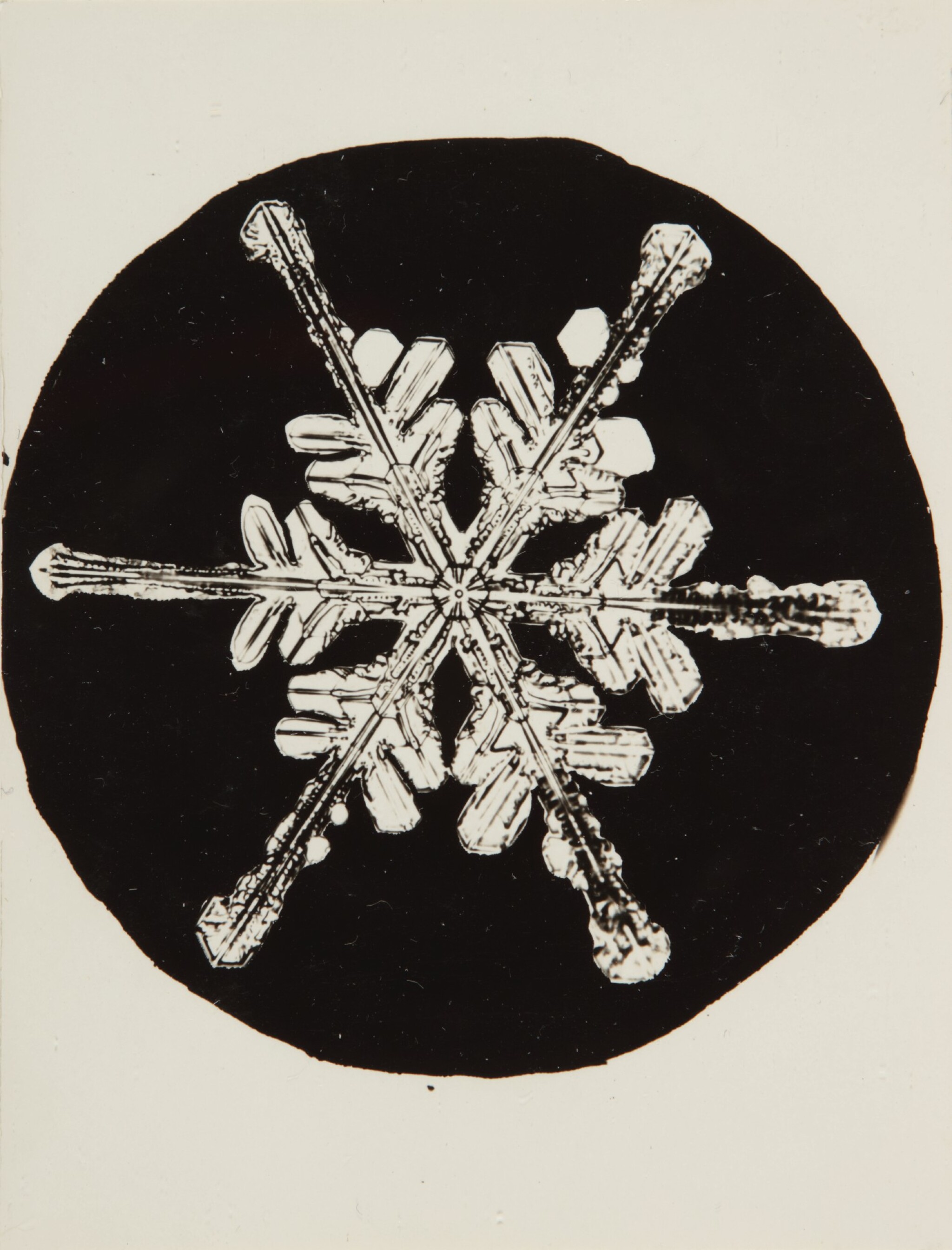 WILSON A. BENTLEY | SELECTED IMAGES OF SNOWFLAKES | Photographs 2020 ...