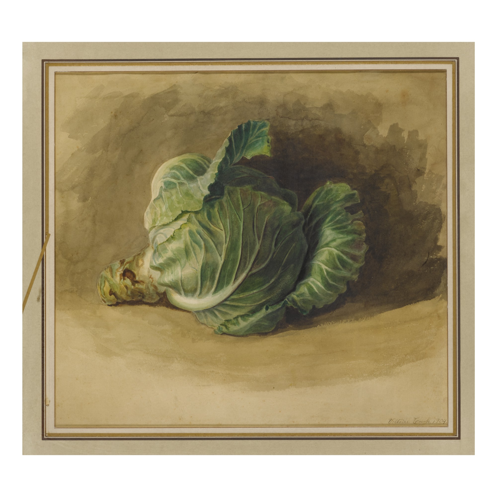 VOLTAIRE COMBE (WILLIAM COMBS) | CABBAGE STILL LIFE, 1904 | Mario ...