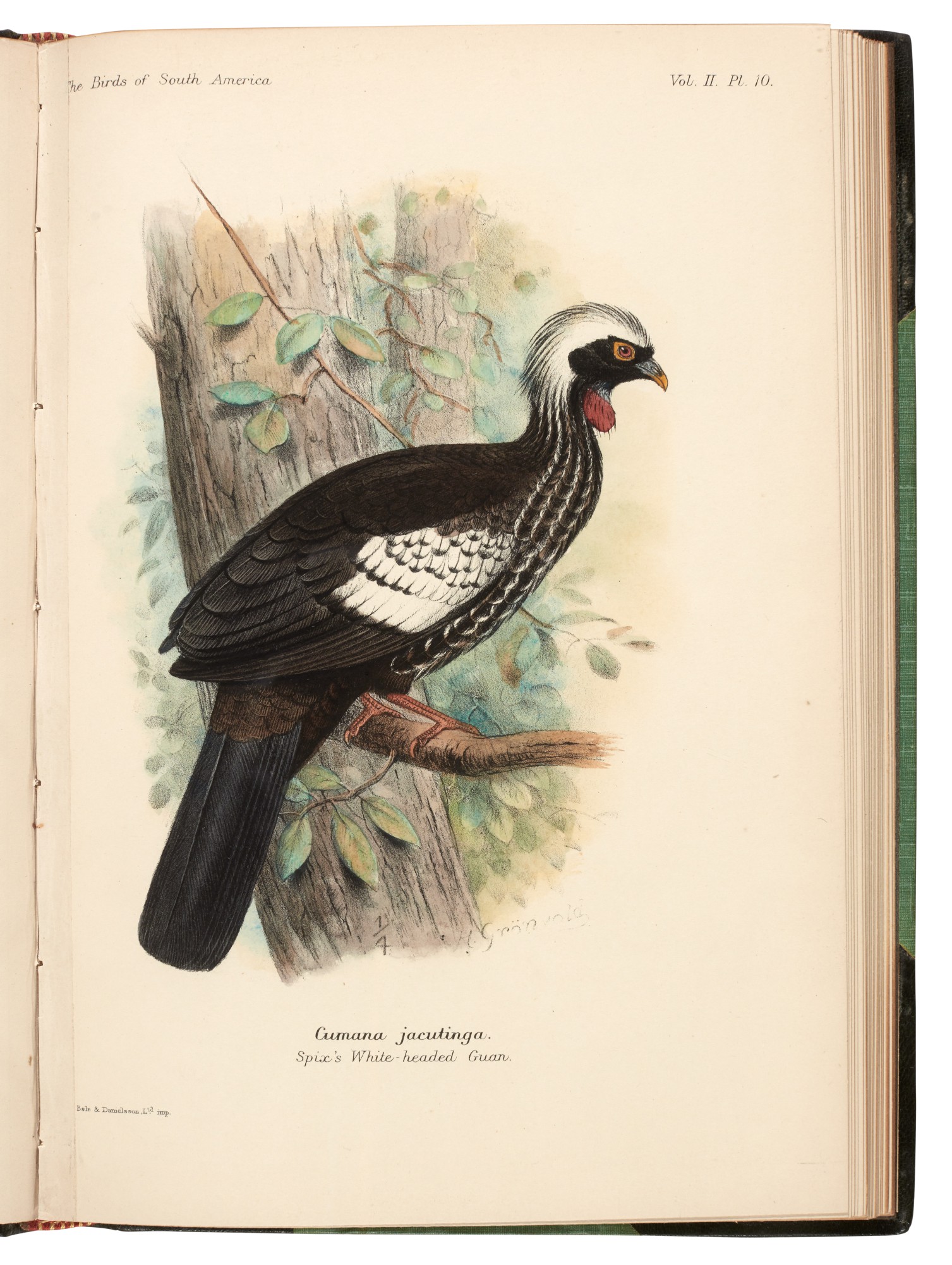 W. Knatchbull-Hugessen, 3rd Baron Brabourne, and Charles Chubb | The ...