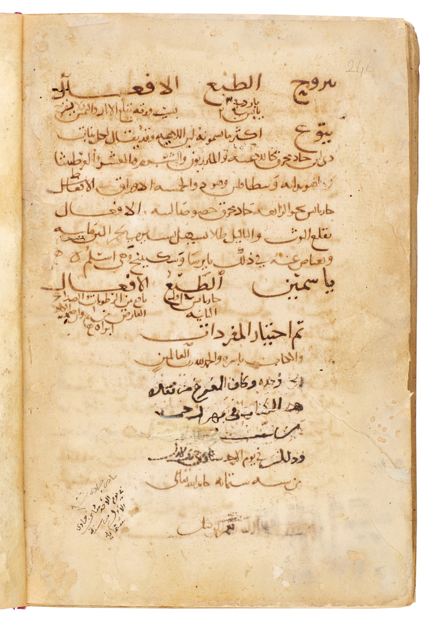 Abu al-Fadl Dawud ibn Abi al-Bayan al-Isra’ili (d. circa 1240 ...