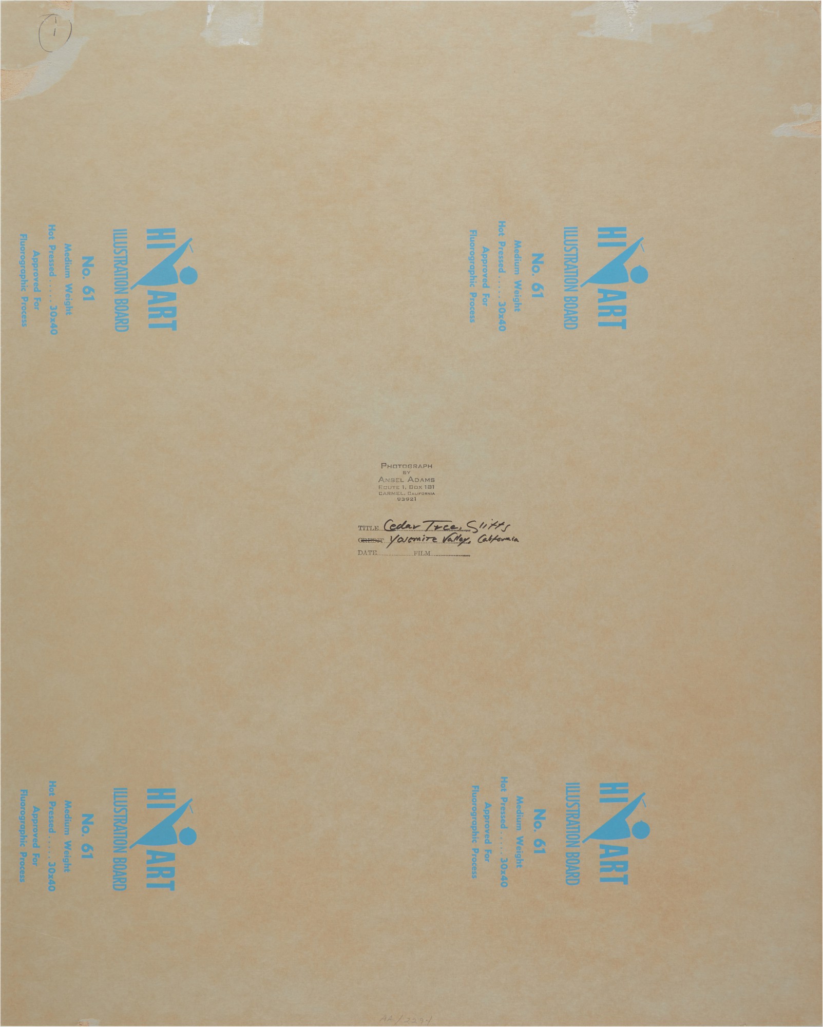 'Cedar Tree, Cliffs, Yosemite Valley, California' | A Grand Vision: The ...