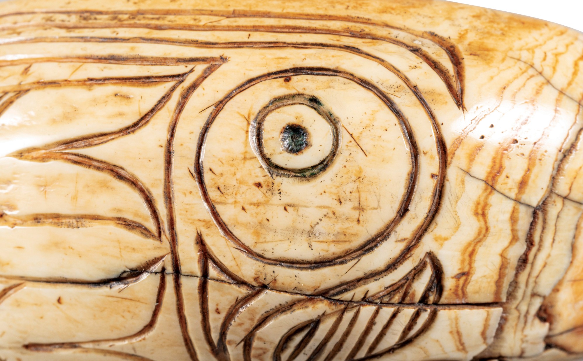 Dent de cachalot gravée, Côte Nord-Ouest | A Northwest Coast incised ...