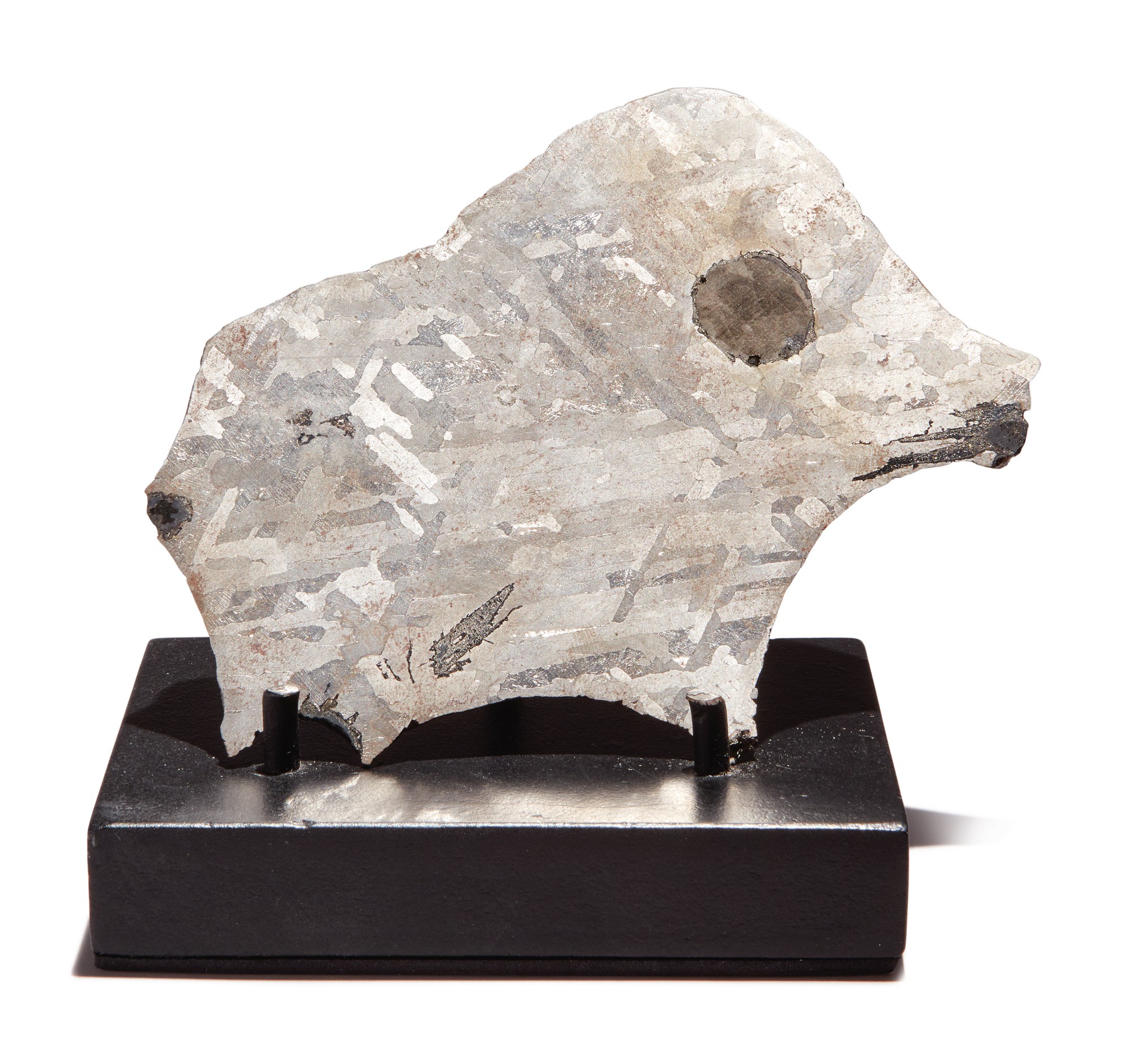 RARE ZOOMORPHIC METEORITE – AN ODESSA METEORITE IN THE NATURAL FORM OF ...