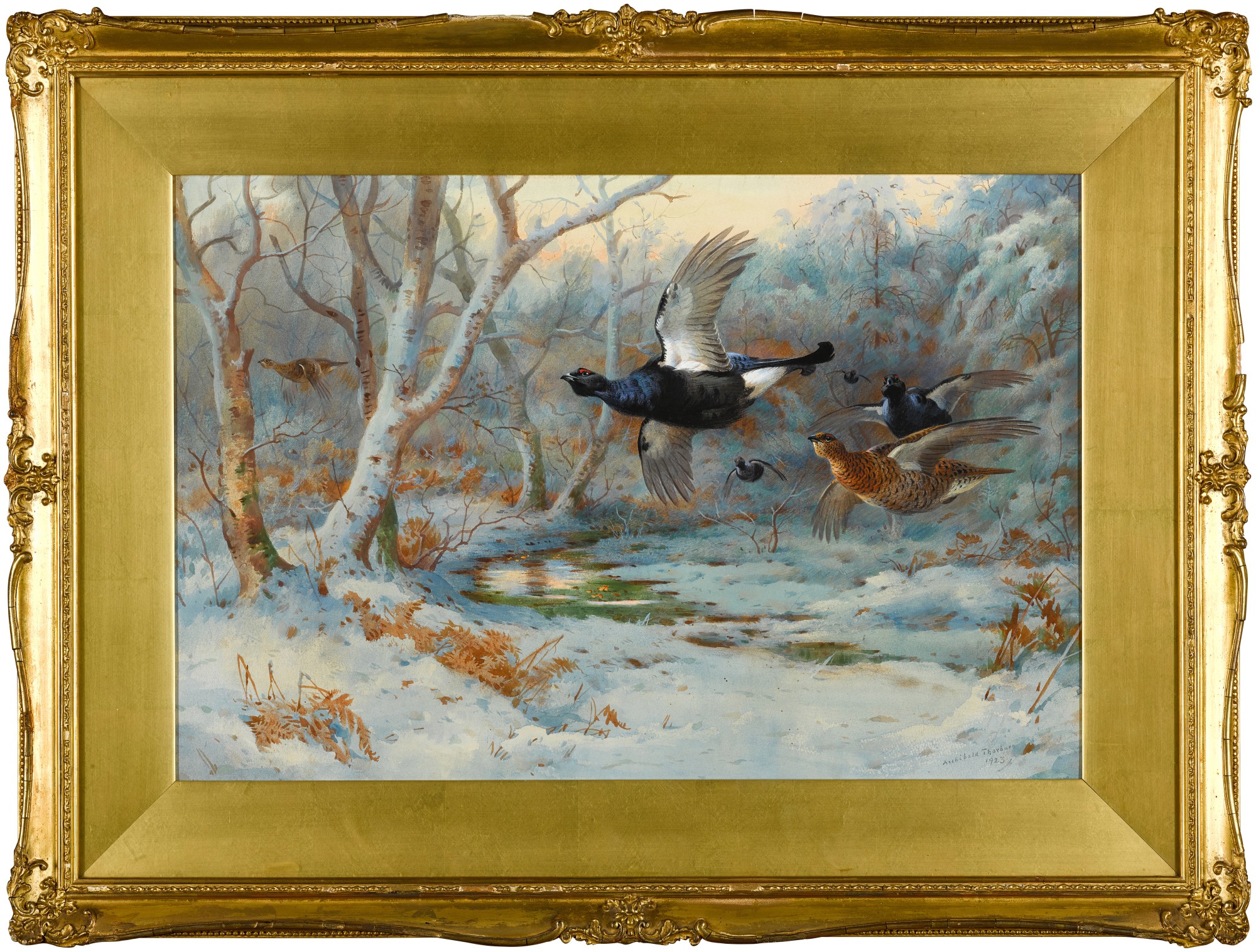 ARCHIBALD THORBURN | BLACK GROUSE IN FLIGHT IN A WINTER WOODLAND ...