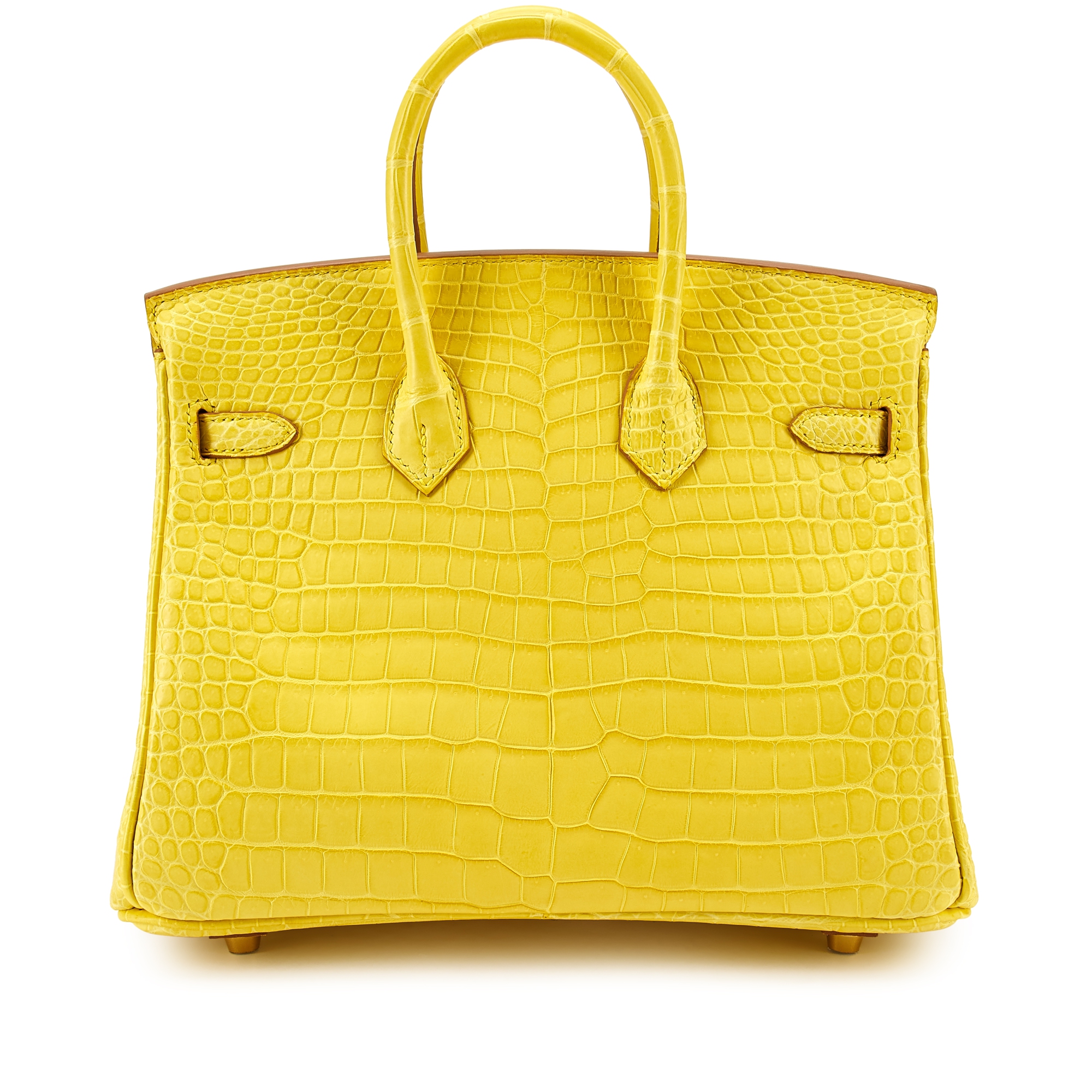Mimosa Matte Porosus Crocodile Birkin 25 Gold Hardware, 2020 | Handbags ...
