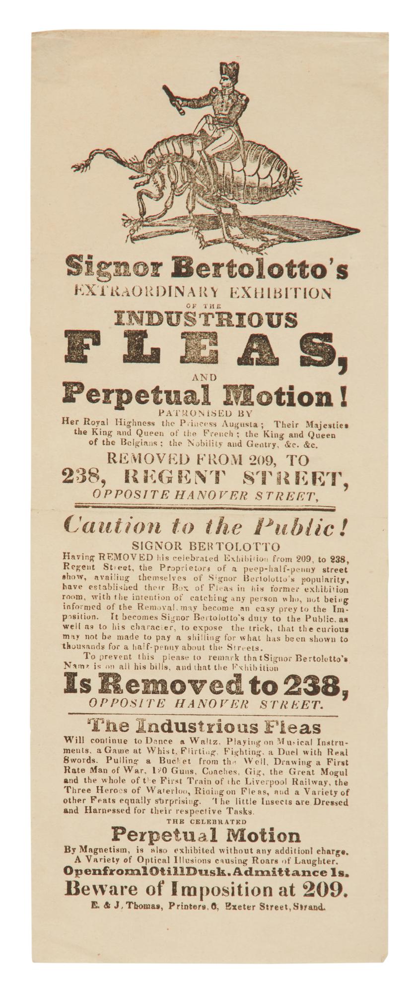 (Flea Circus) | A group of handbills for early flea circuses | The ...