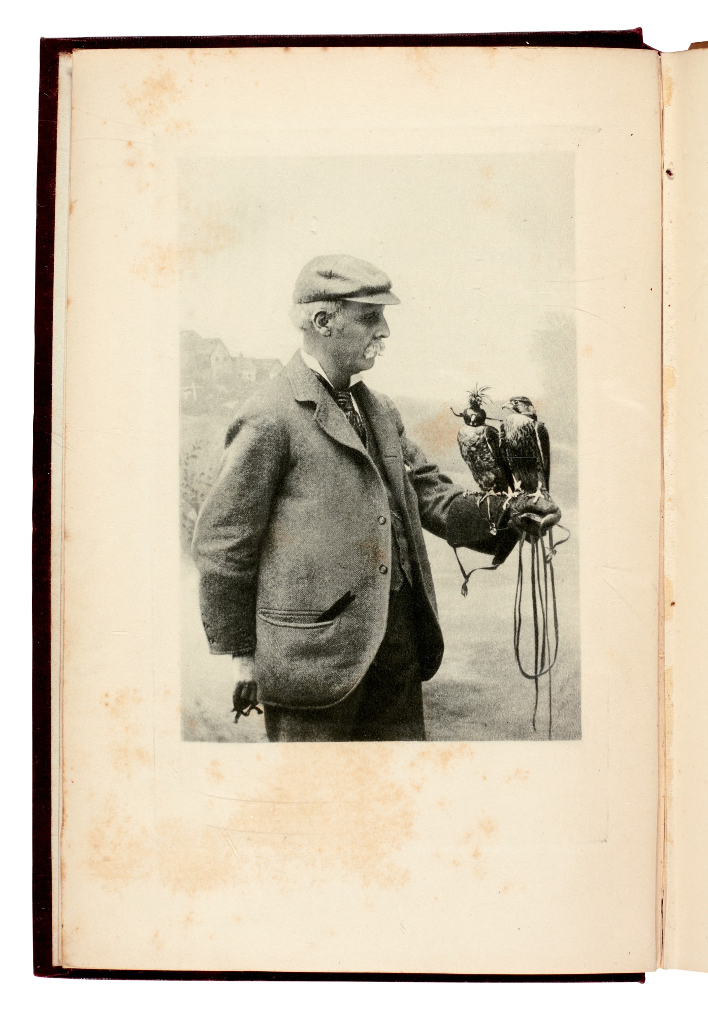 James Edmund Harting | Recreations of a Naturalist, 1906, the author's ...