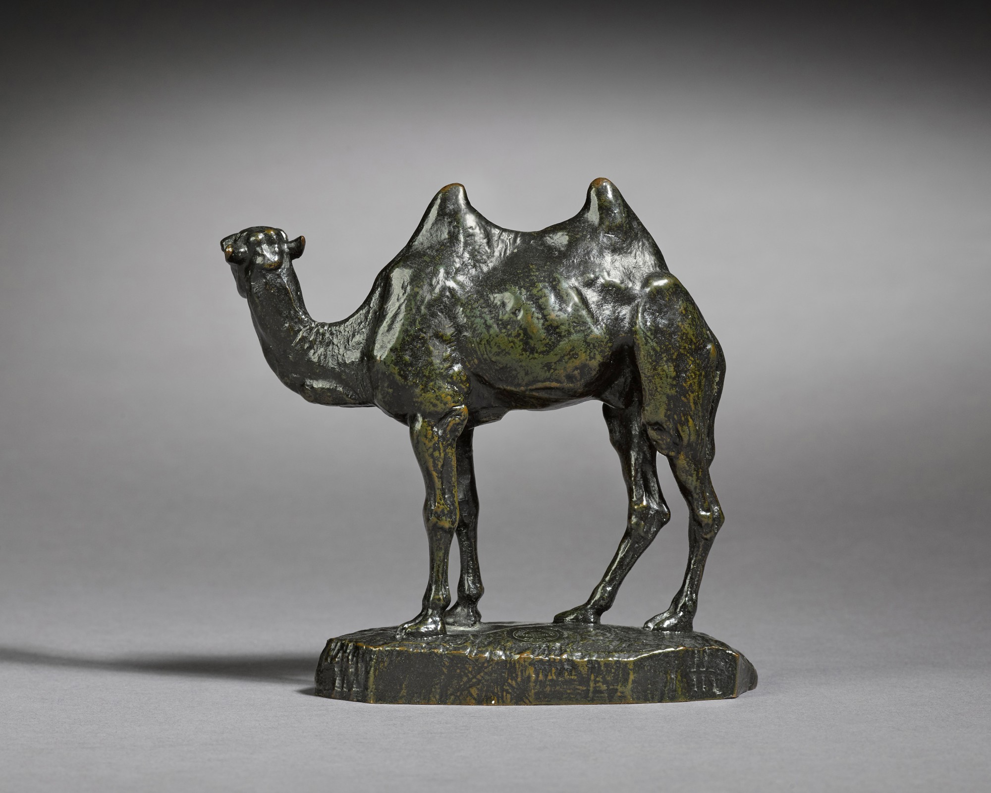 Petit Chameau de Perse (Small Persian Camel) | Sladmore: Life in Bronze ...