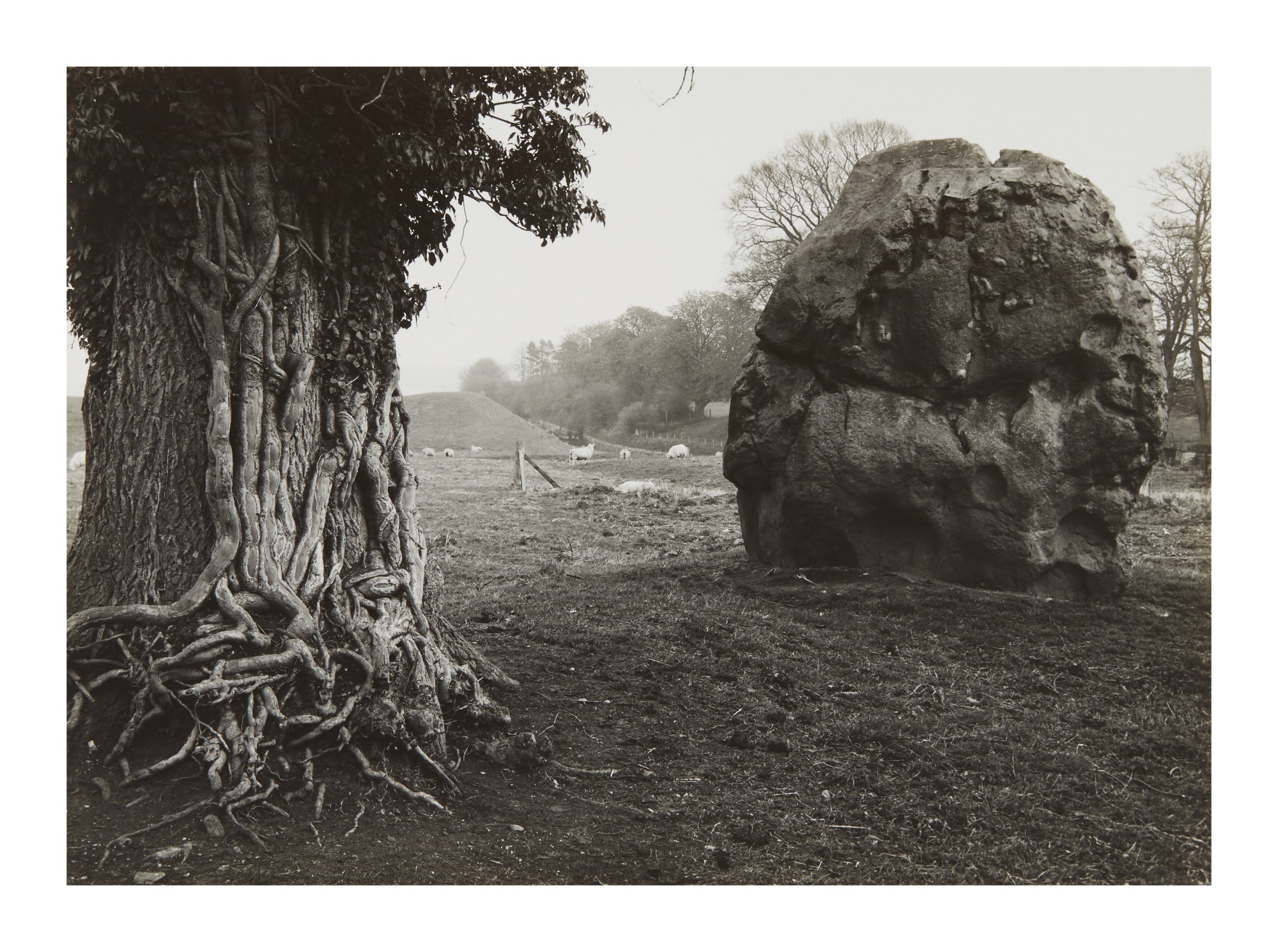 PAUL CAPONIGRO | PORTFOLIO II | Classic Photographs | Photographs ...