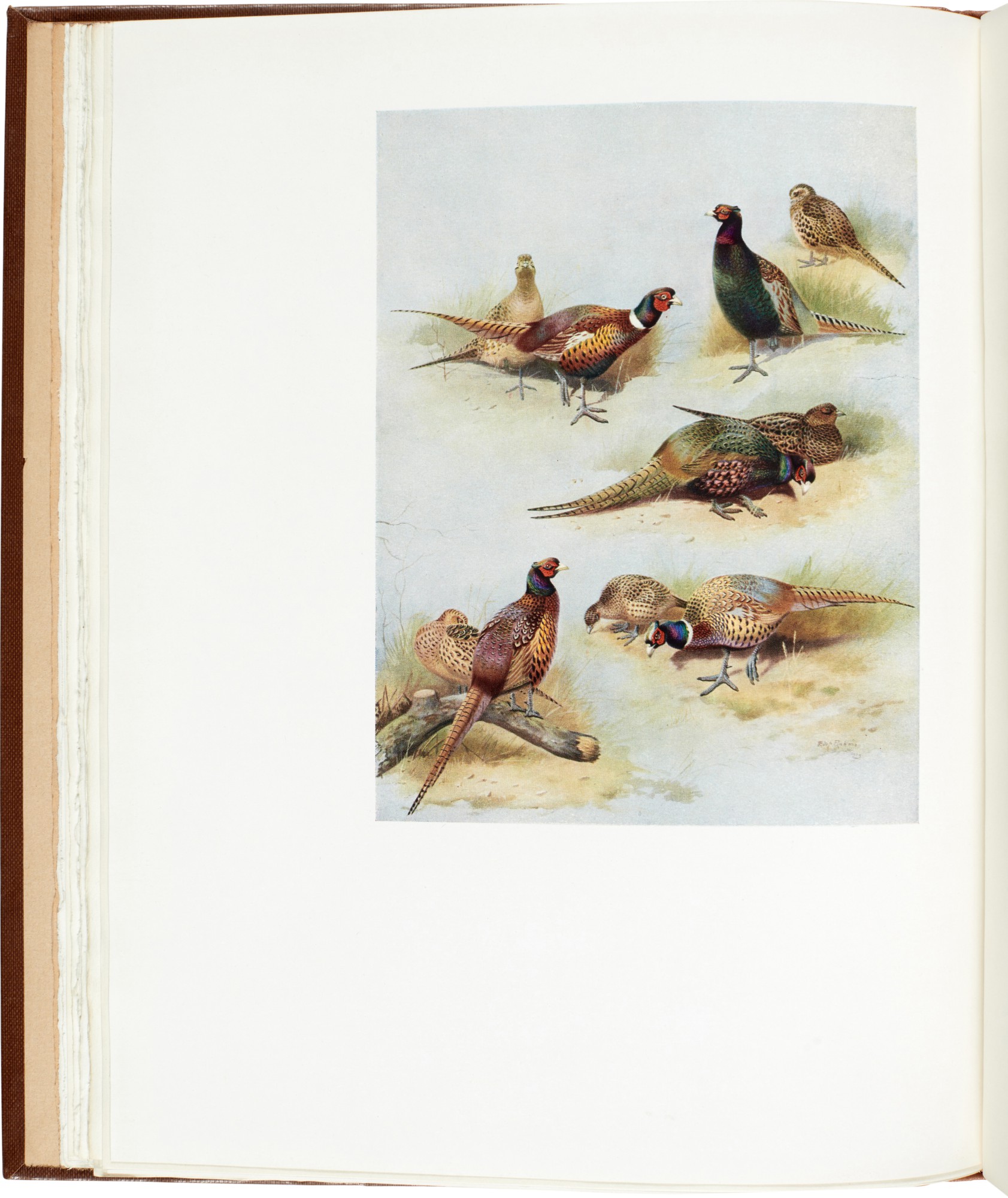 Philip Rickman | Three works illustrated by Philip Rickman, inscribed ...