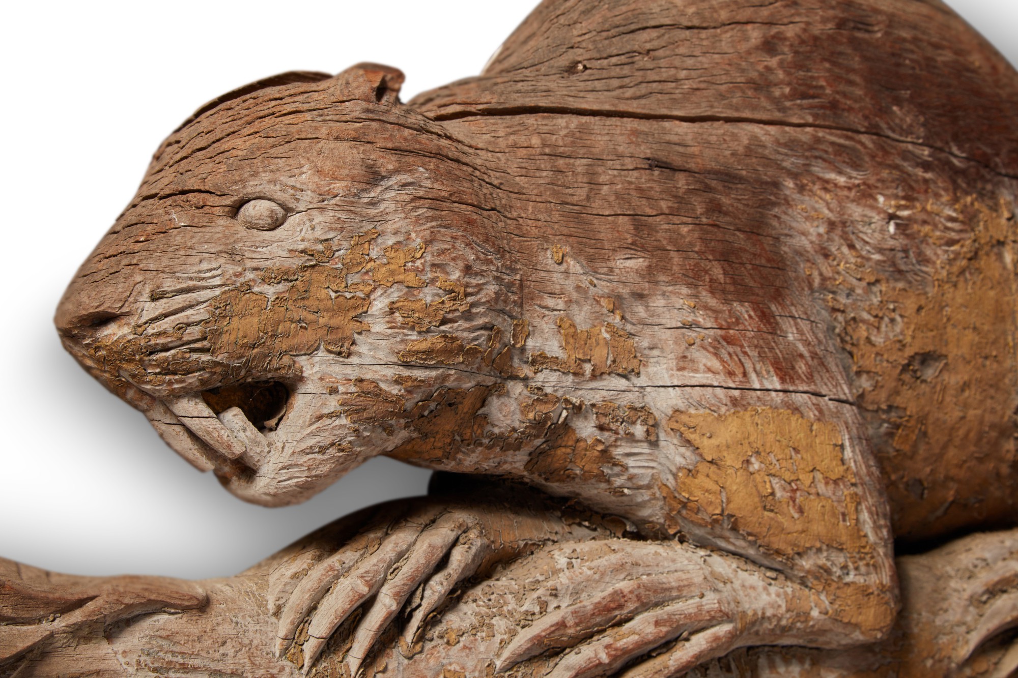 Carved Pine Relief Figure of a Beaver, American or Canada, Late 19th ...
