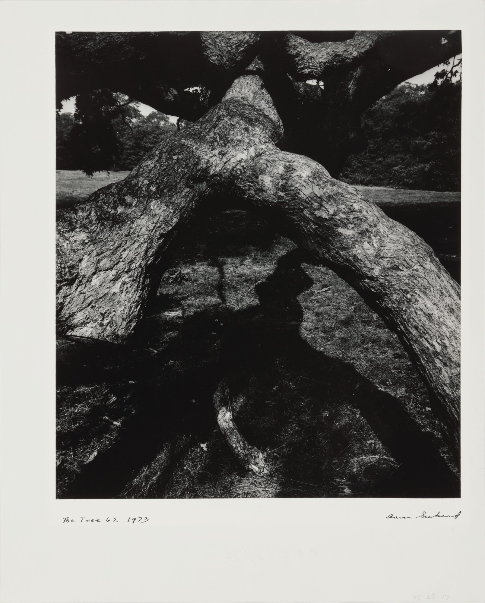 AARON SISKIND | SELECTED IMAGES | Classic Photographs | 2020 | Sotheby's