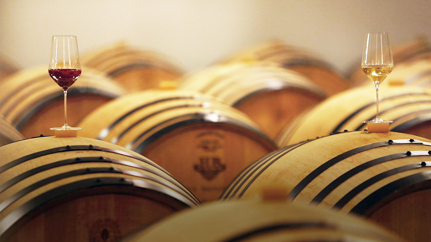 Chevalier Montrachet 2019 Domaine Henri Boillot (1 MAG) | The ...