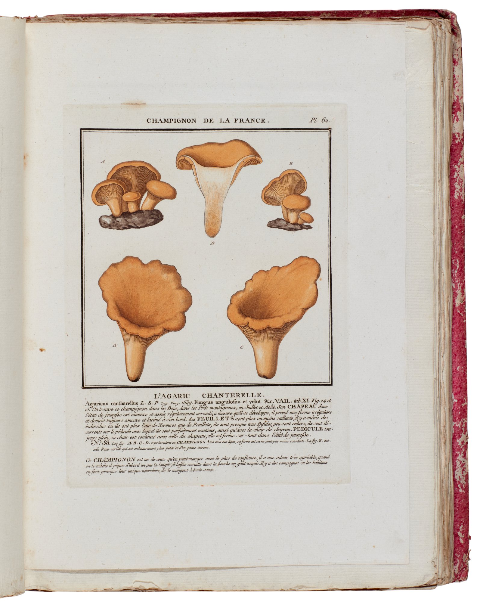 Pierre Bulliard | Herbier de la France. Paris, 1780 [-93], 15 volumes ...