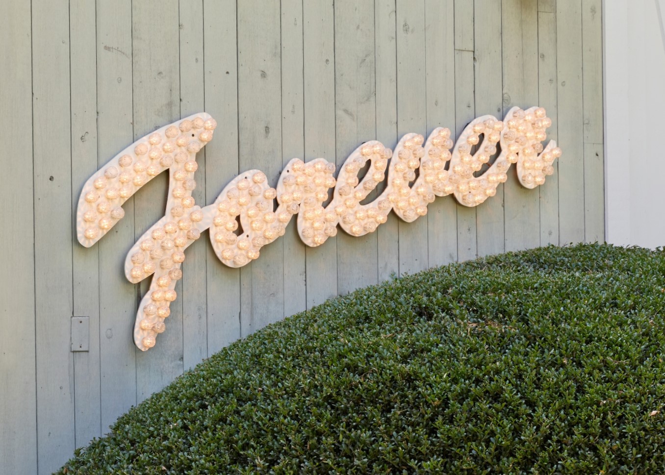 Forever | A Life in Art: Sculpture from The Mallin Collection Part I ...
