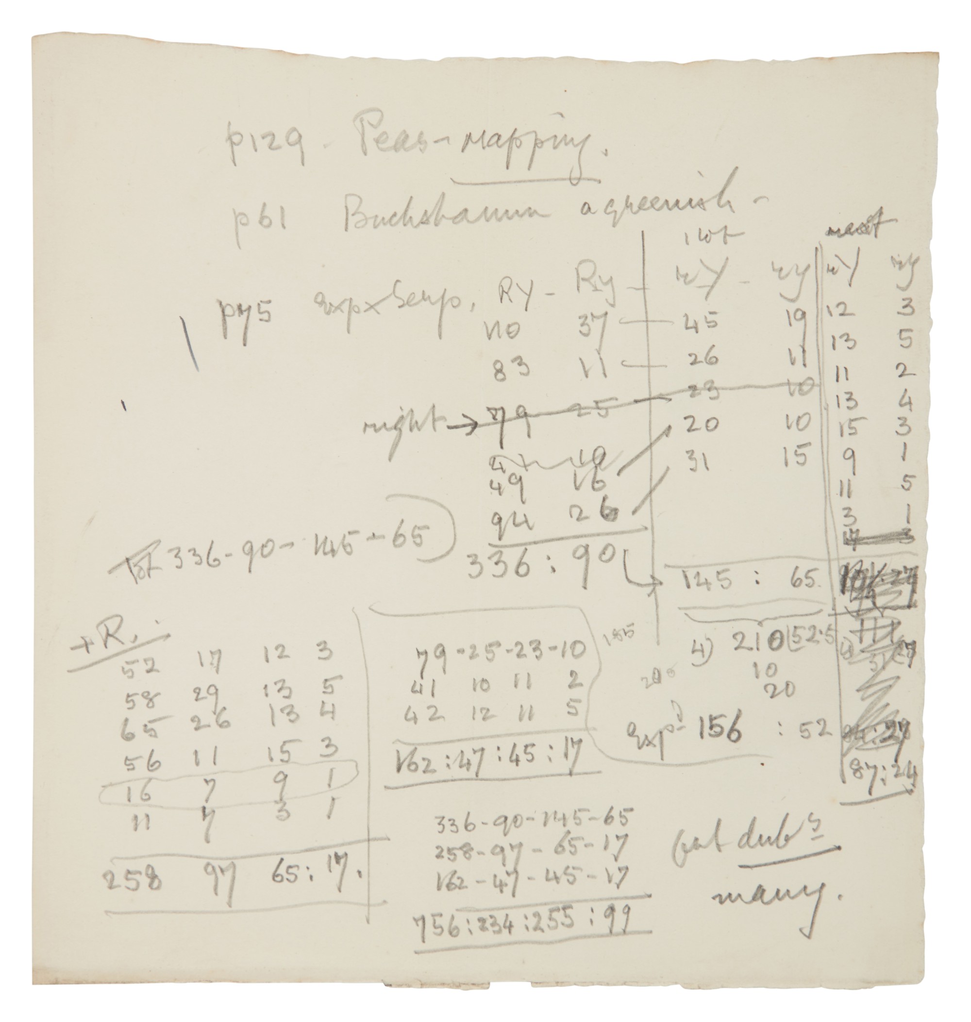 Bateson, William, E.R. Saunders, and R.C. Punnett | Association copy ...