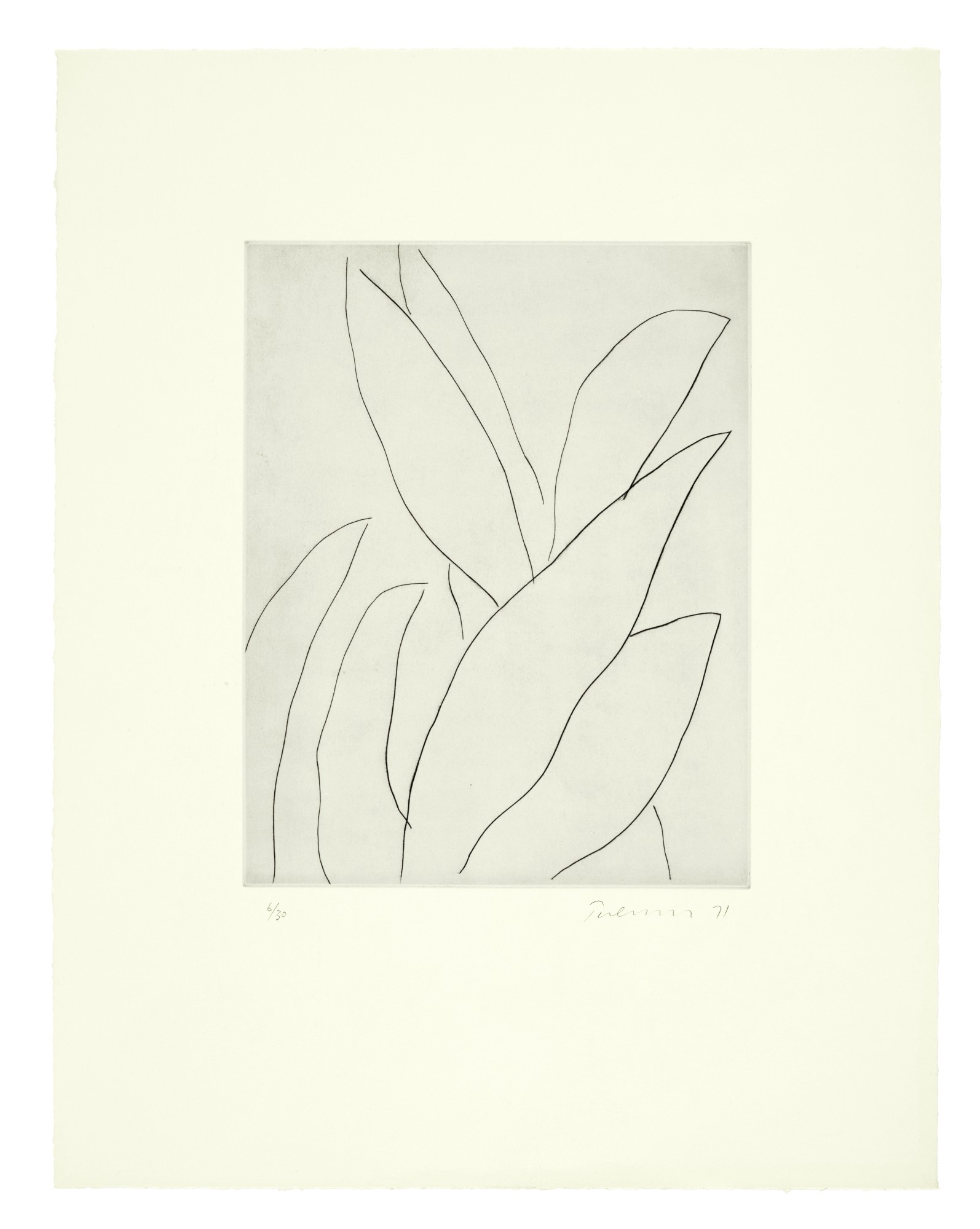 WILLIAM TURNBULL | LEAF | William Turnbull - The Eternal Now: Works ...