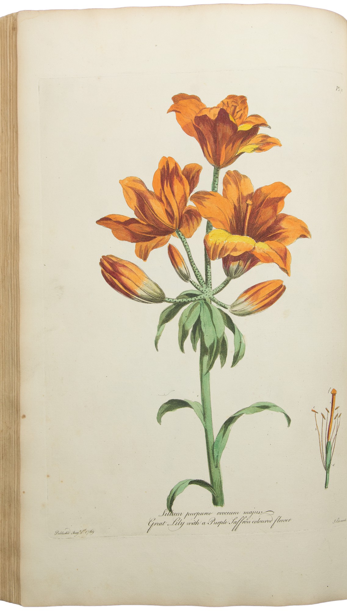 Edwards, John. One of the most highly artistic flower books of the ...