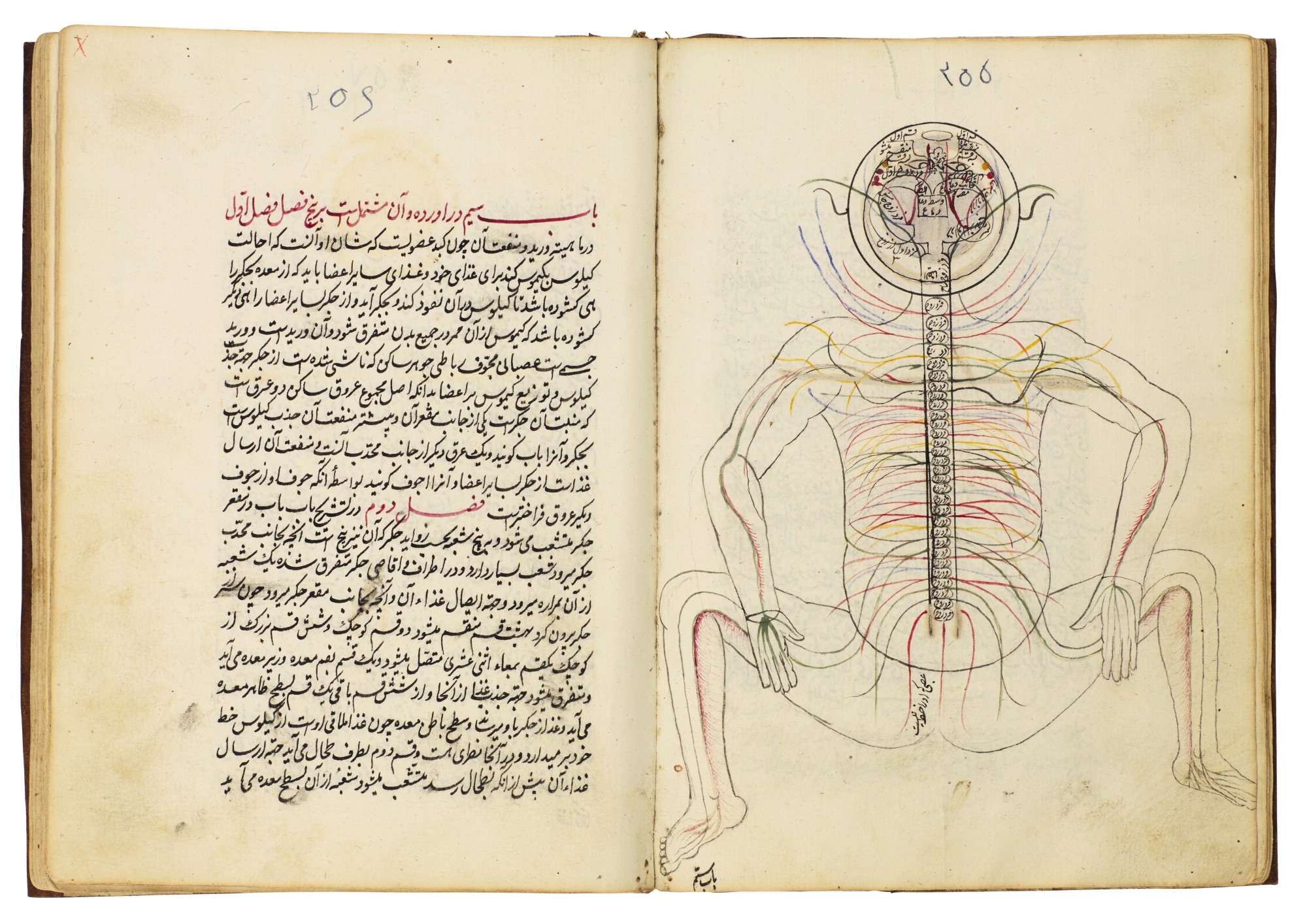 ABU AL-MAJID AL-TABIB AL-BAYDAWI, KITAB TASHRIH, COPIED BY ABU AL-QASIM ...