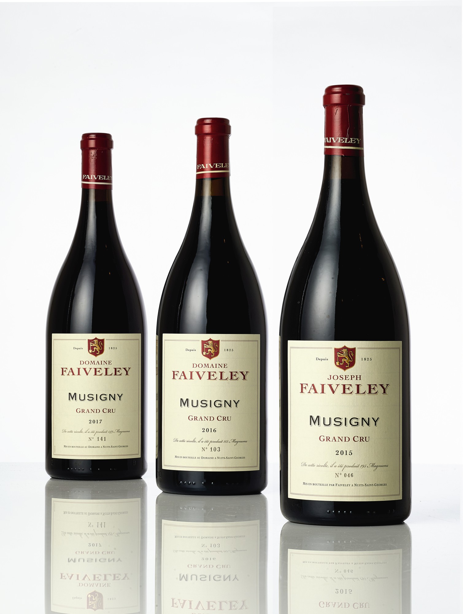Musigny 2016 Faiveley (1 MAG) | The Art of Living: Legendary Wines from ...
