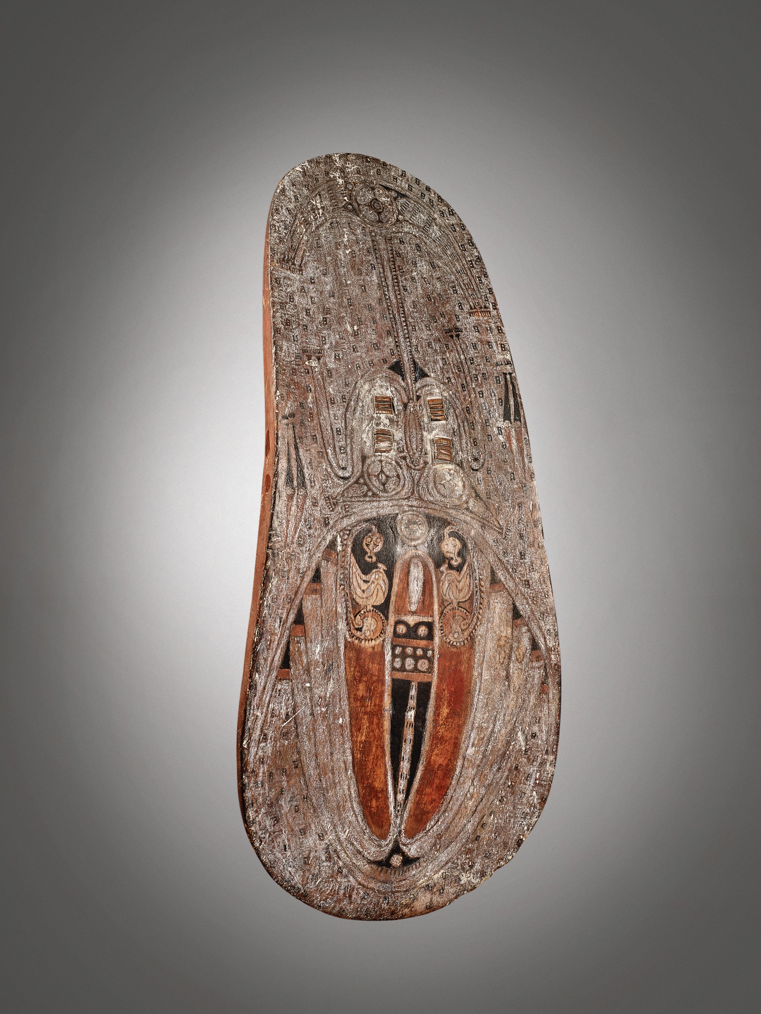 War Shield Massim Area Milne Bay Province Papua New Guinea The
