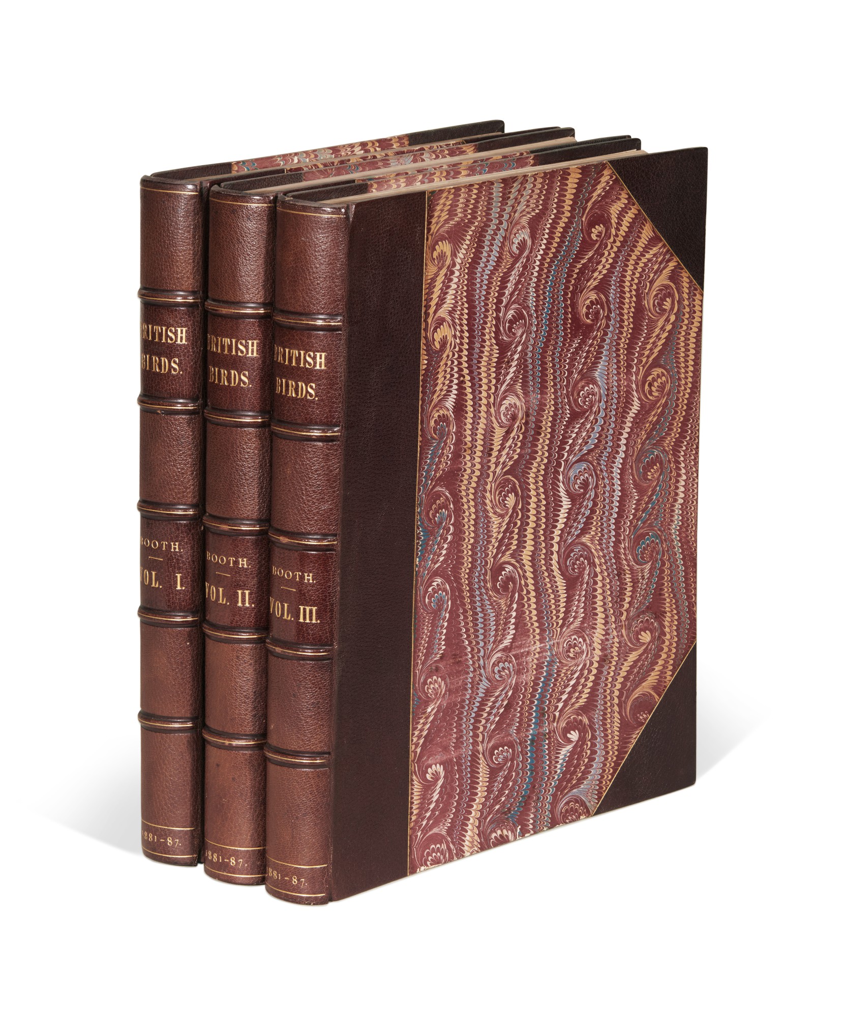 Edward Thomas Booth | Rough notes on the birds observed... in the ...