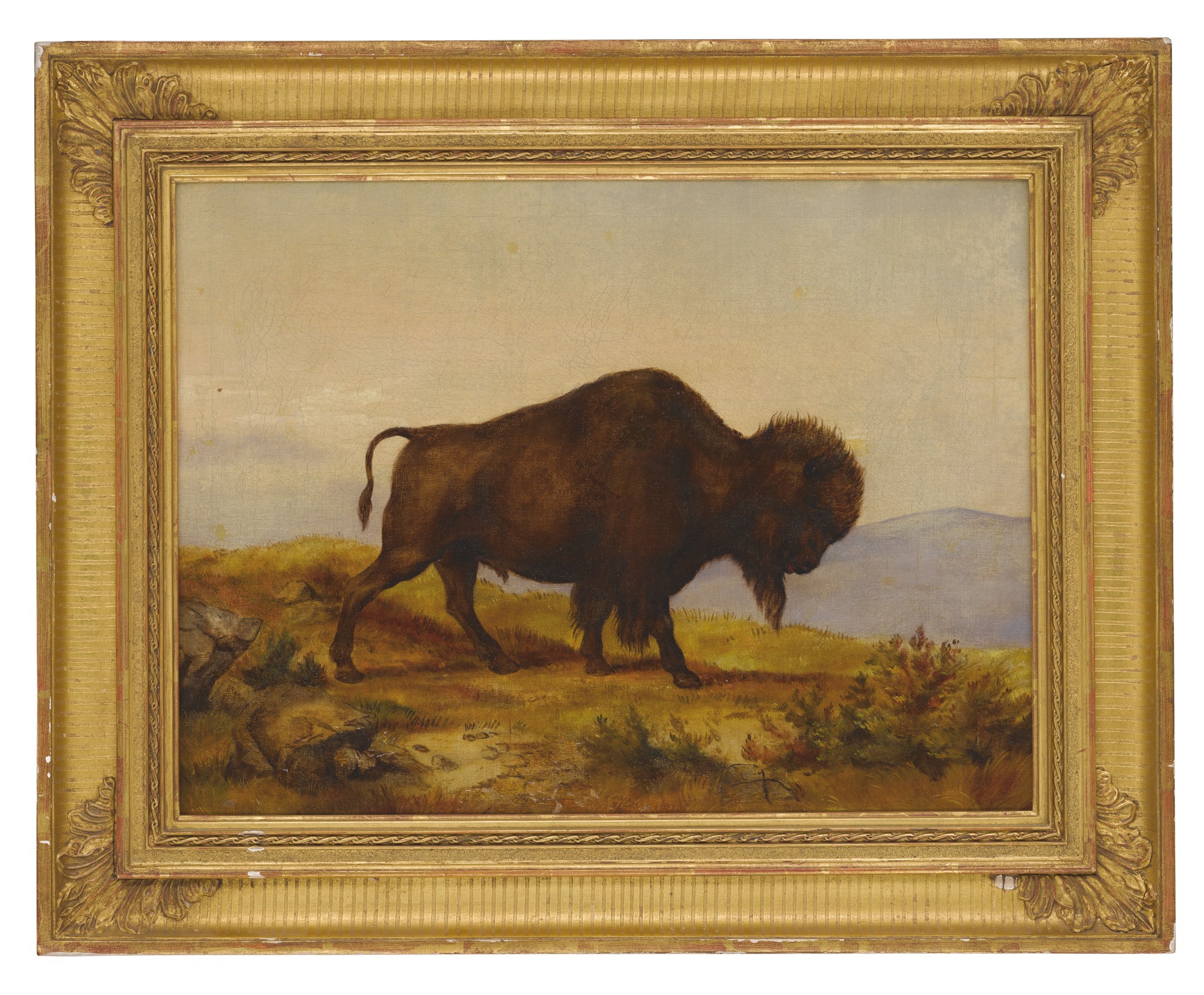 ALFRED SULLY | BISON BULL | Important Americana | | Sotheby's