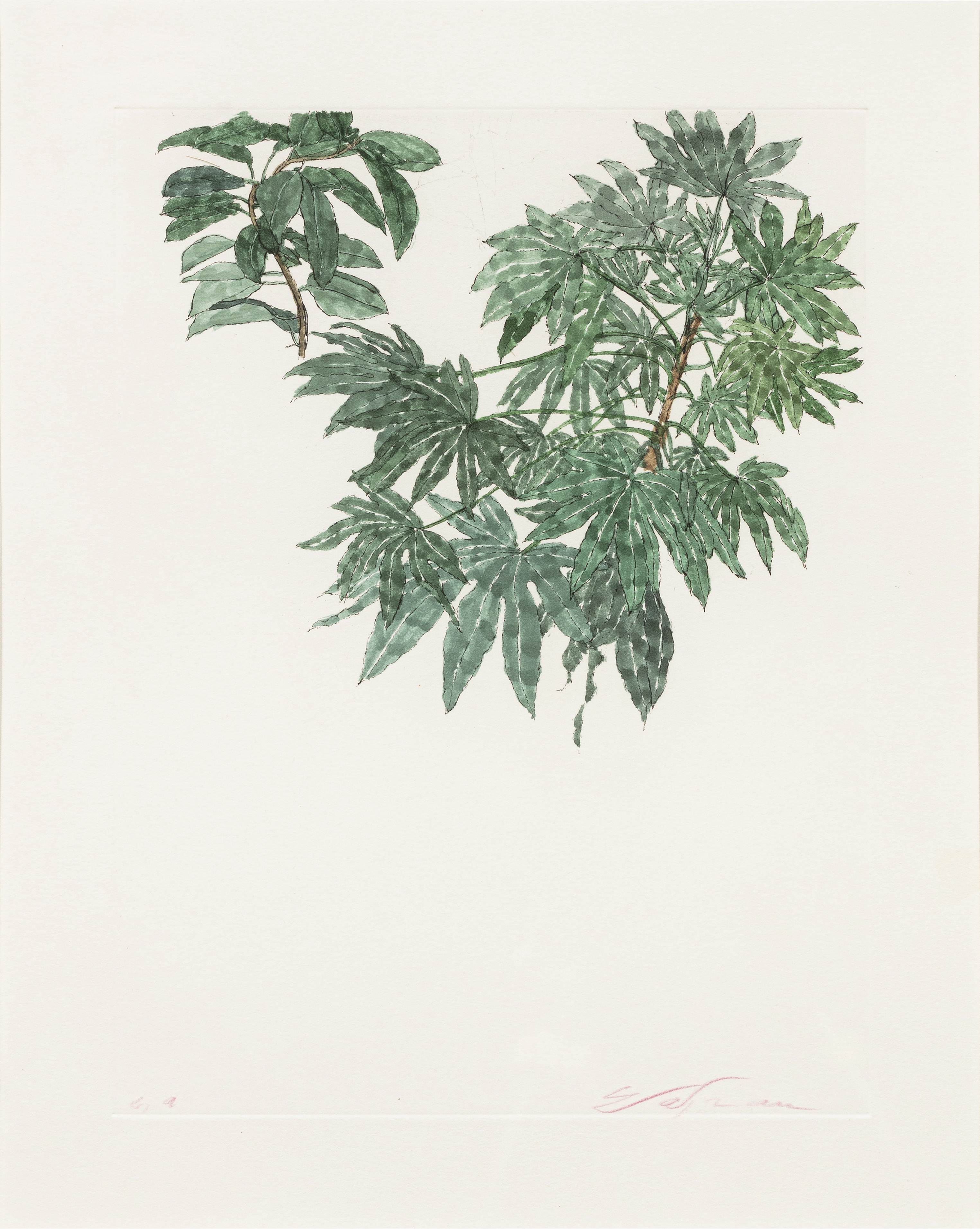 Sans titre (Feuillage) | Collection Sam et Lilette Szafran…& friends ...