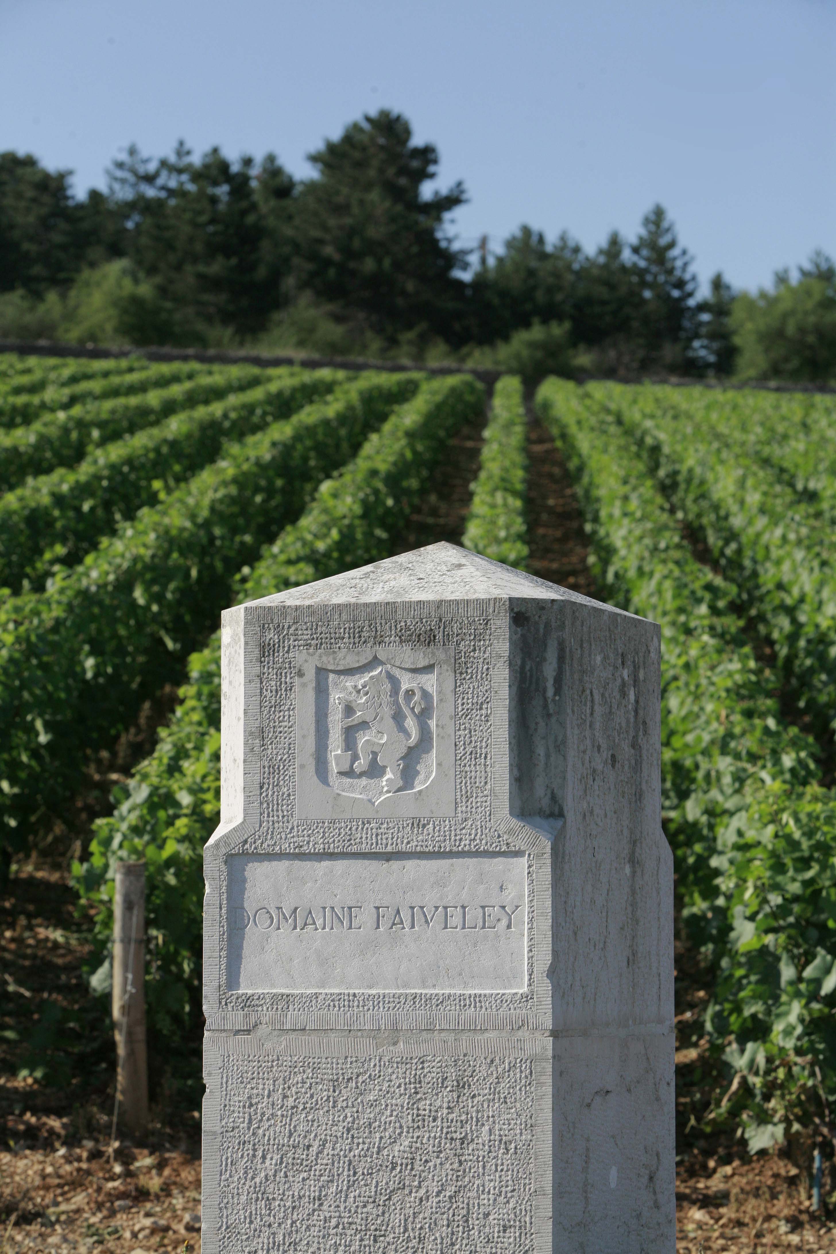 Gevrey Chambertin, Clos des Issarts 2020 Faiveley (3 MAG) | The ...