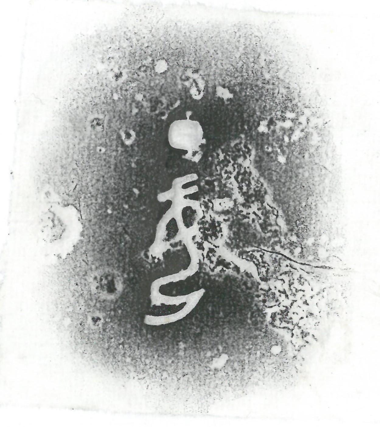 The Ding Mu Zhi, Early Western Zhou dynasty | 西周初 丁母觶 | POWER ...