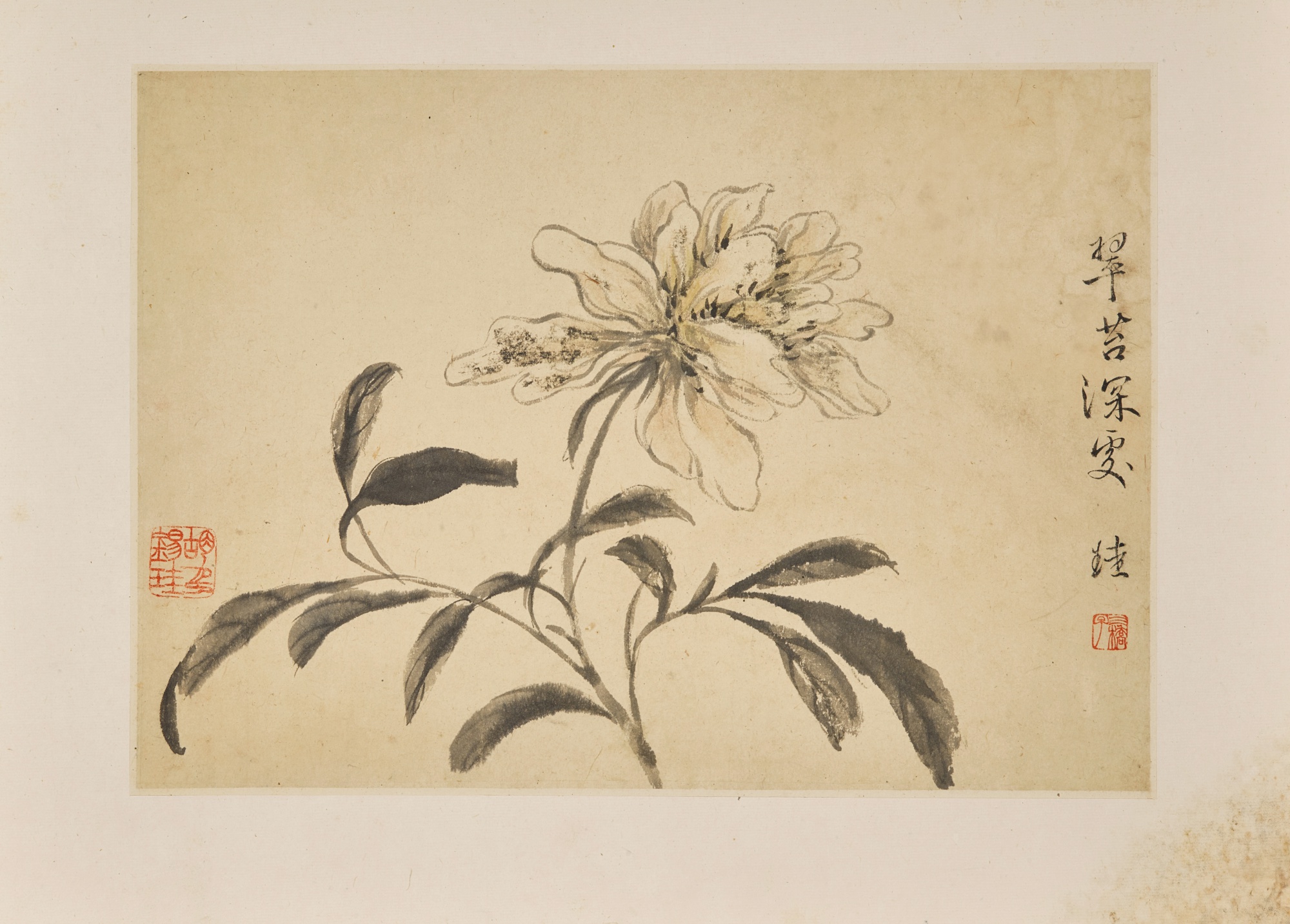 Hu Xigui 1839-1883 胡錫珪 | Flowers 階前窗影 | Fine Classical Chinese ...