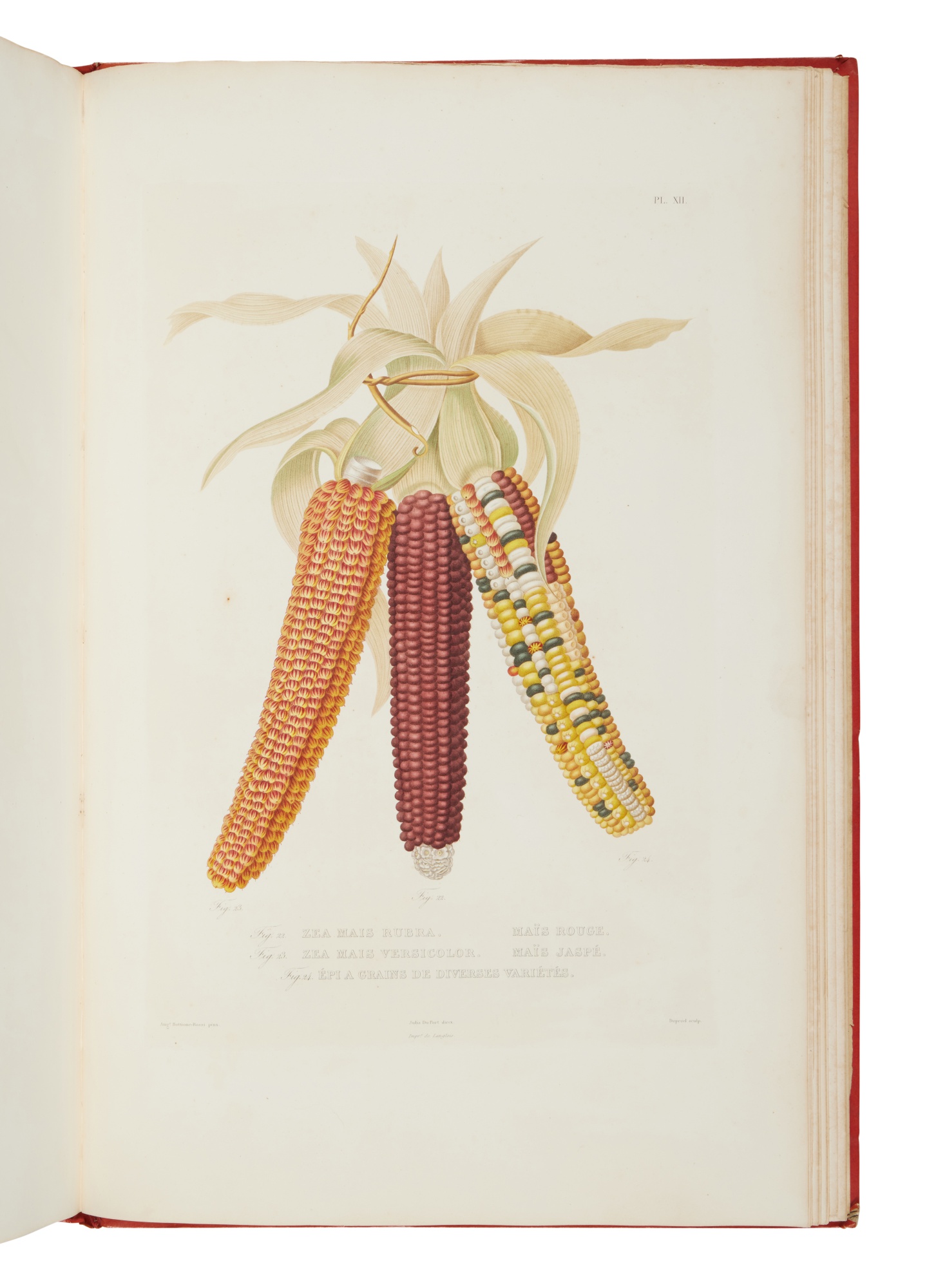 Bonafous, Matthieu | The most authoritative reference on the ...