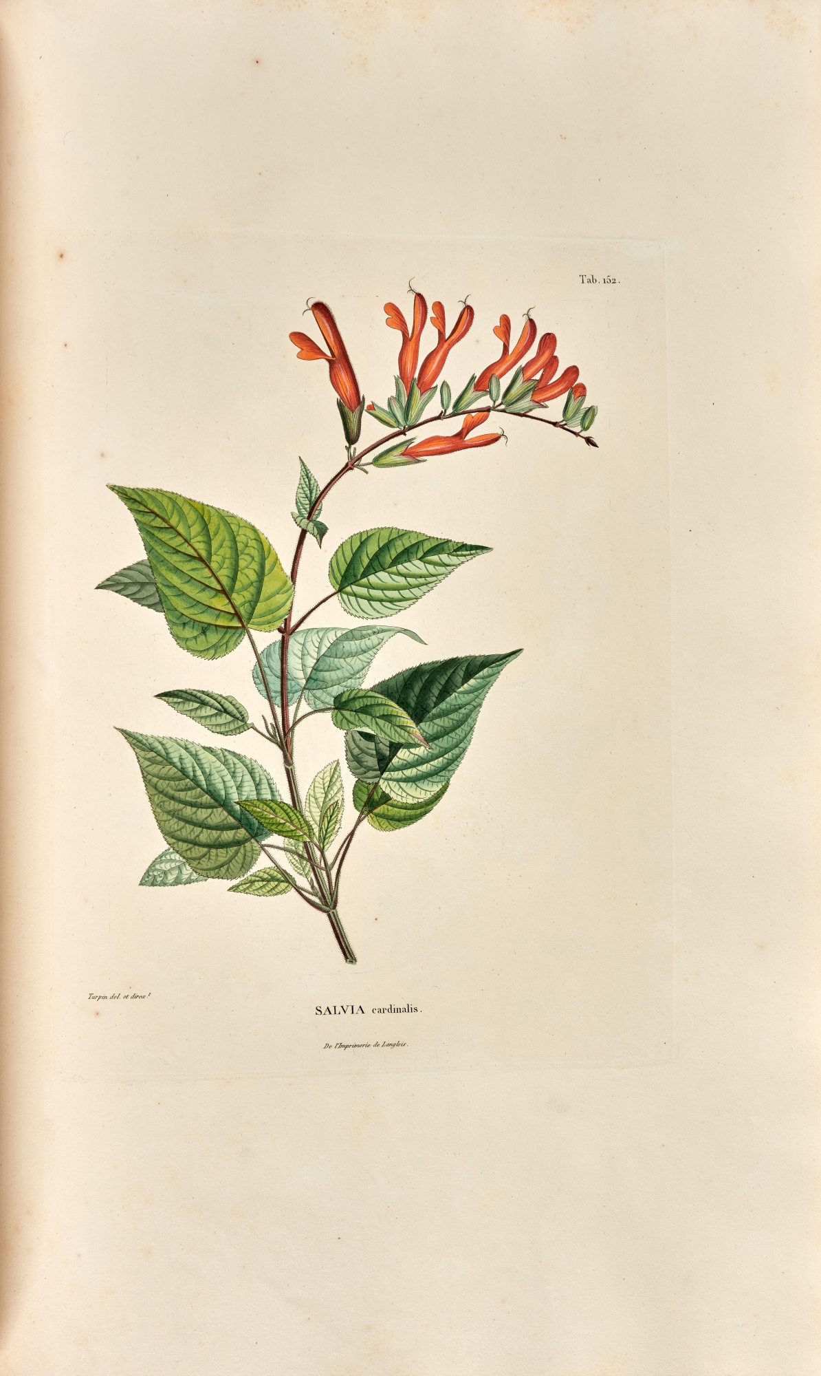 Alexander von Humboldt and Aimé Bonpland | Voyage... Sixième partie ...