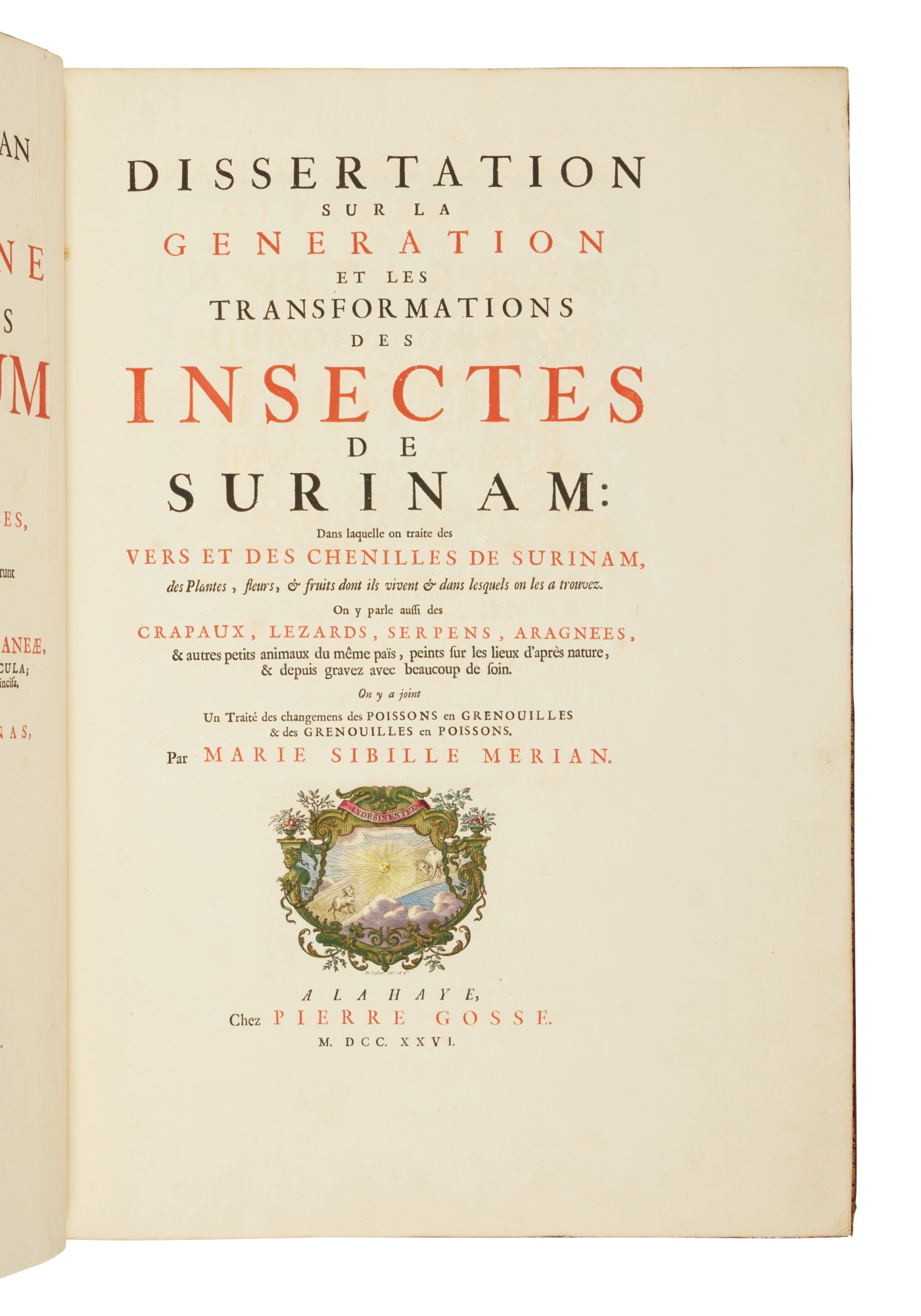 Merian, Maria Sibylla | Merian's classic study on tropical insects ...