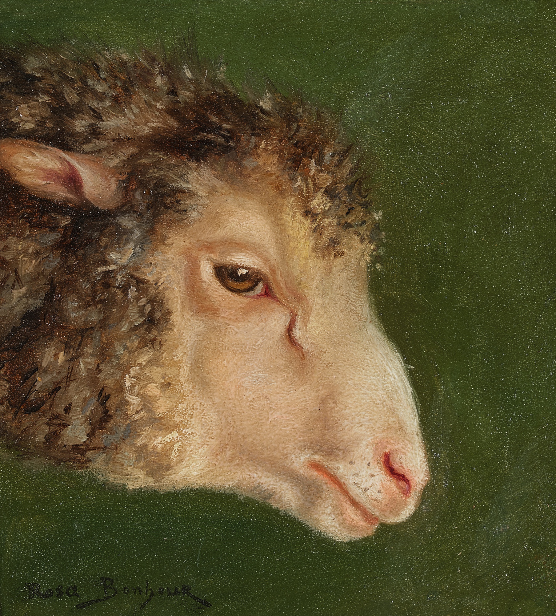 Head of an Ewe | 19th-Century Works of Art: Featuring Works from The ...