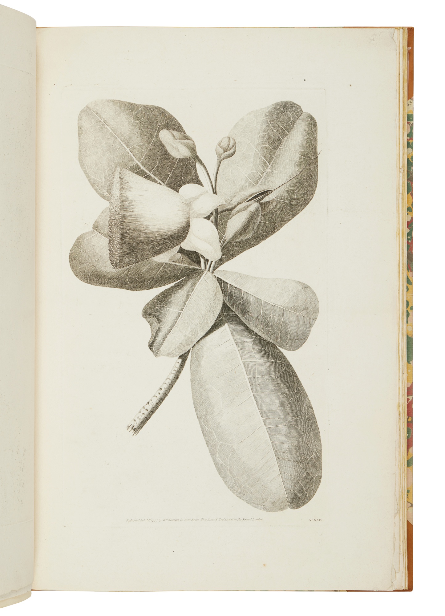 Cook, James, Captain, et al. | The Frank S. Streeter set of the voyages ...