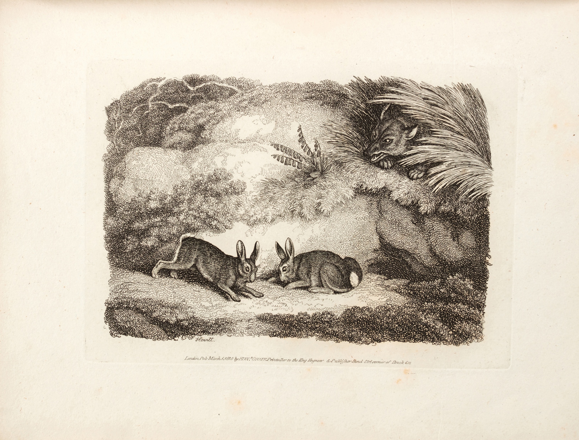 Samuel Howitt | A new work of animals, London, 1811, contemporary red ...