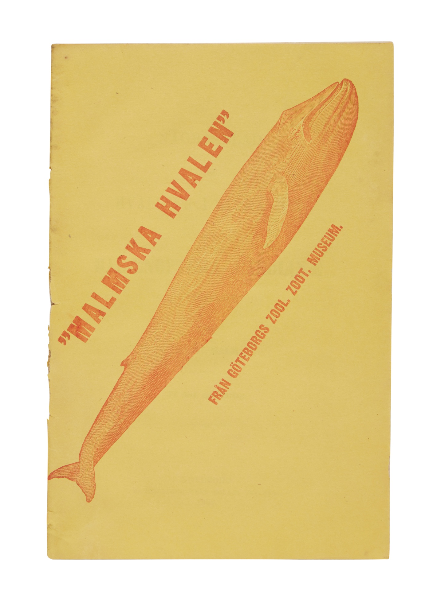 Malm, Auguste Wilhelm | An inadvertent photographic work of art on ...