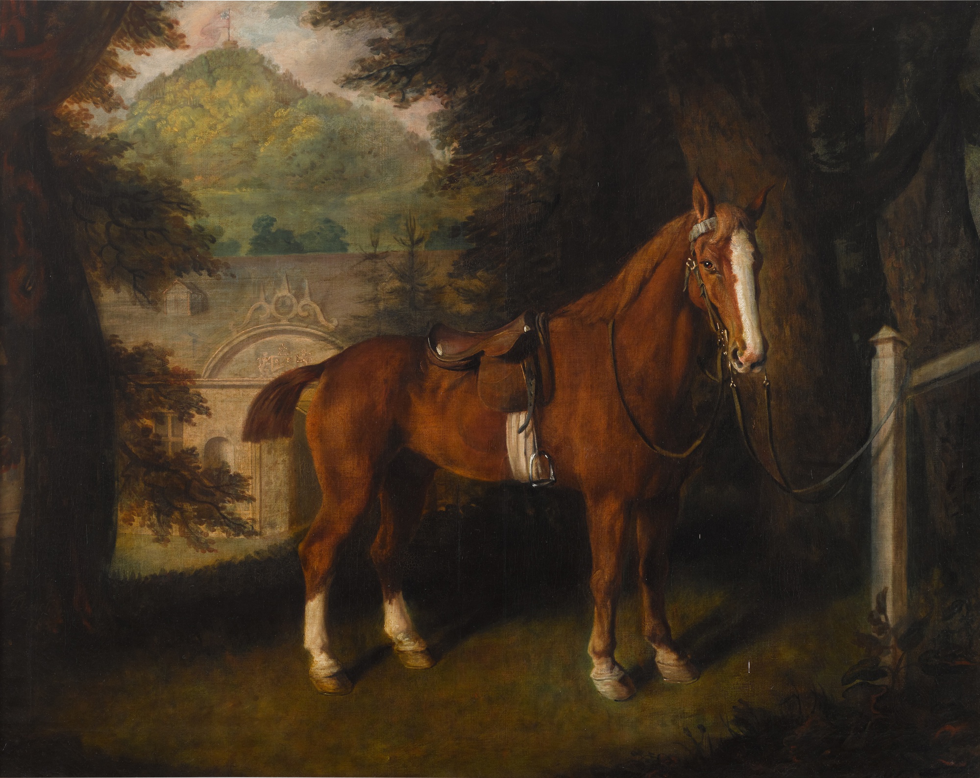 A saddled chestnut hunter tethered to a post with the entrance to ...