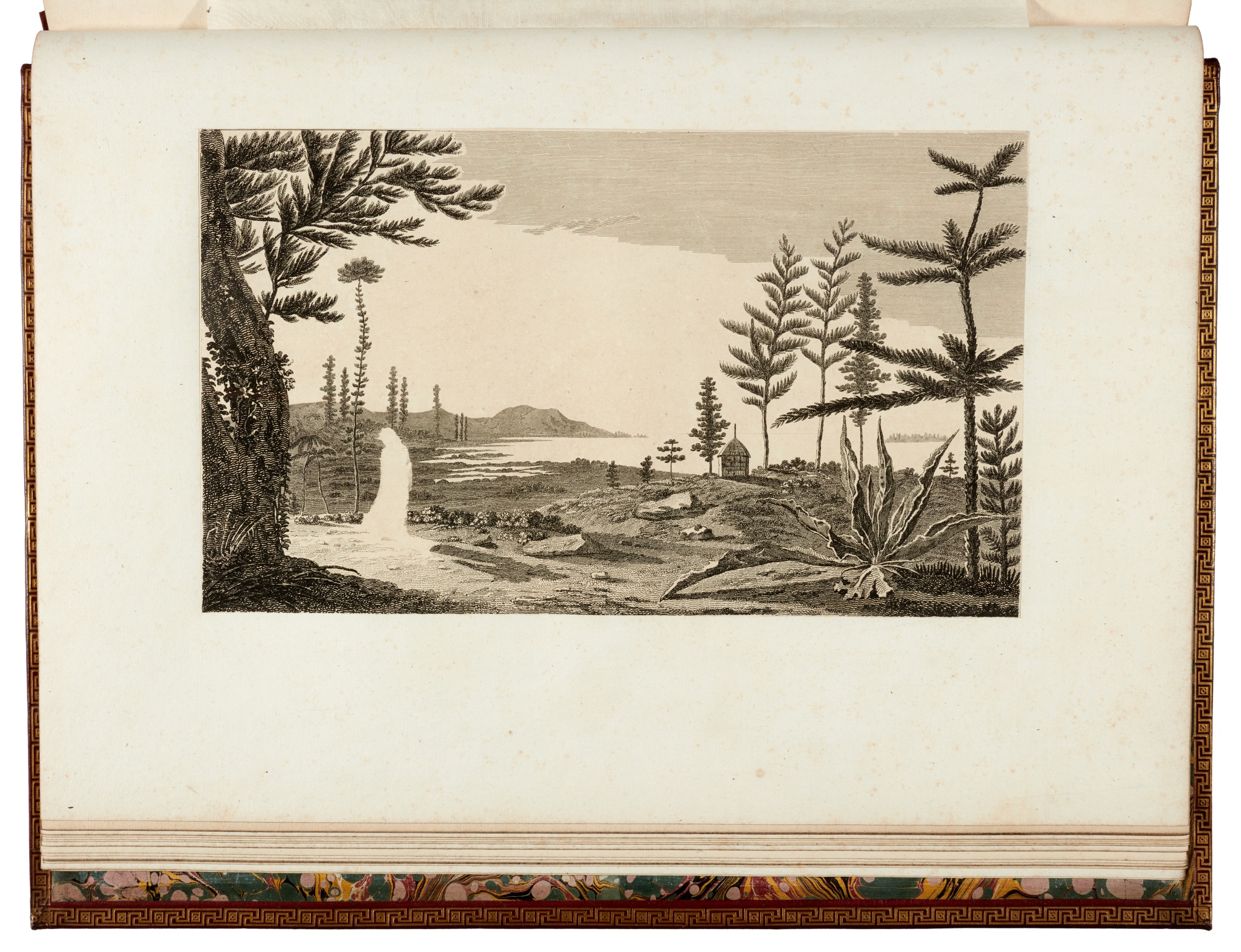 Captain Cook | Voyages and Life, 1773-88, 11 volumes, contemporary red ...