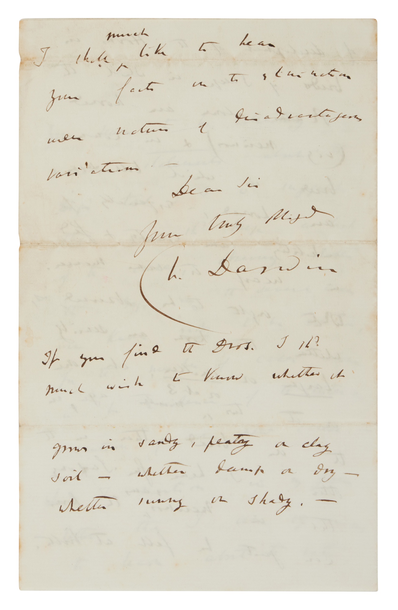 Darwin, Charles | A fine series of letters on tailless dogs and rare ...
