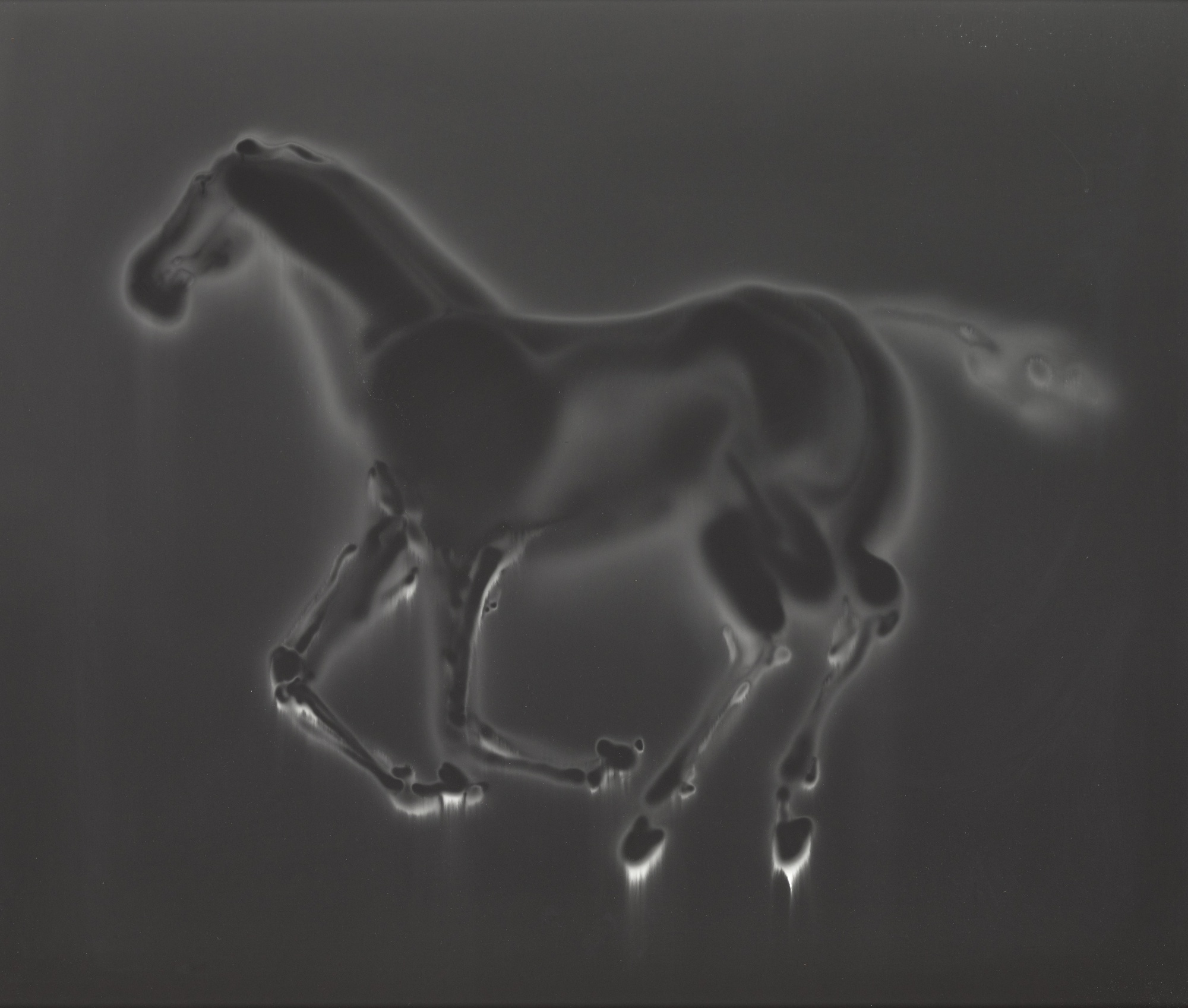 Eadweard Muybridge, Bouquet Galloping, Animal Locomotion, ca. 1885 | As ...